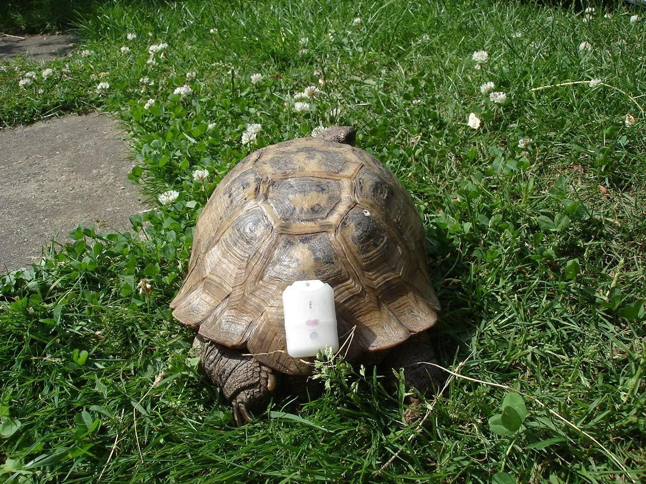 Buy Girafus Pro-Track Goal Tracker for Cats & Dogs | Mini RF Tracker ...