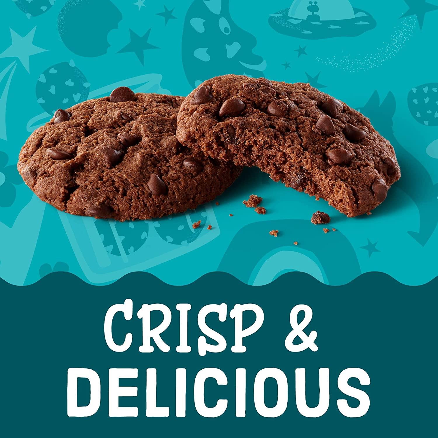 Enjoy Life Double Chocolate Crunchy Cookies - Nut, Soy, Dairy, Gluten ...