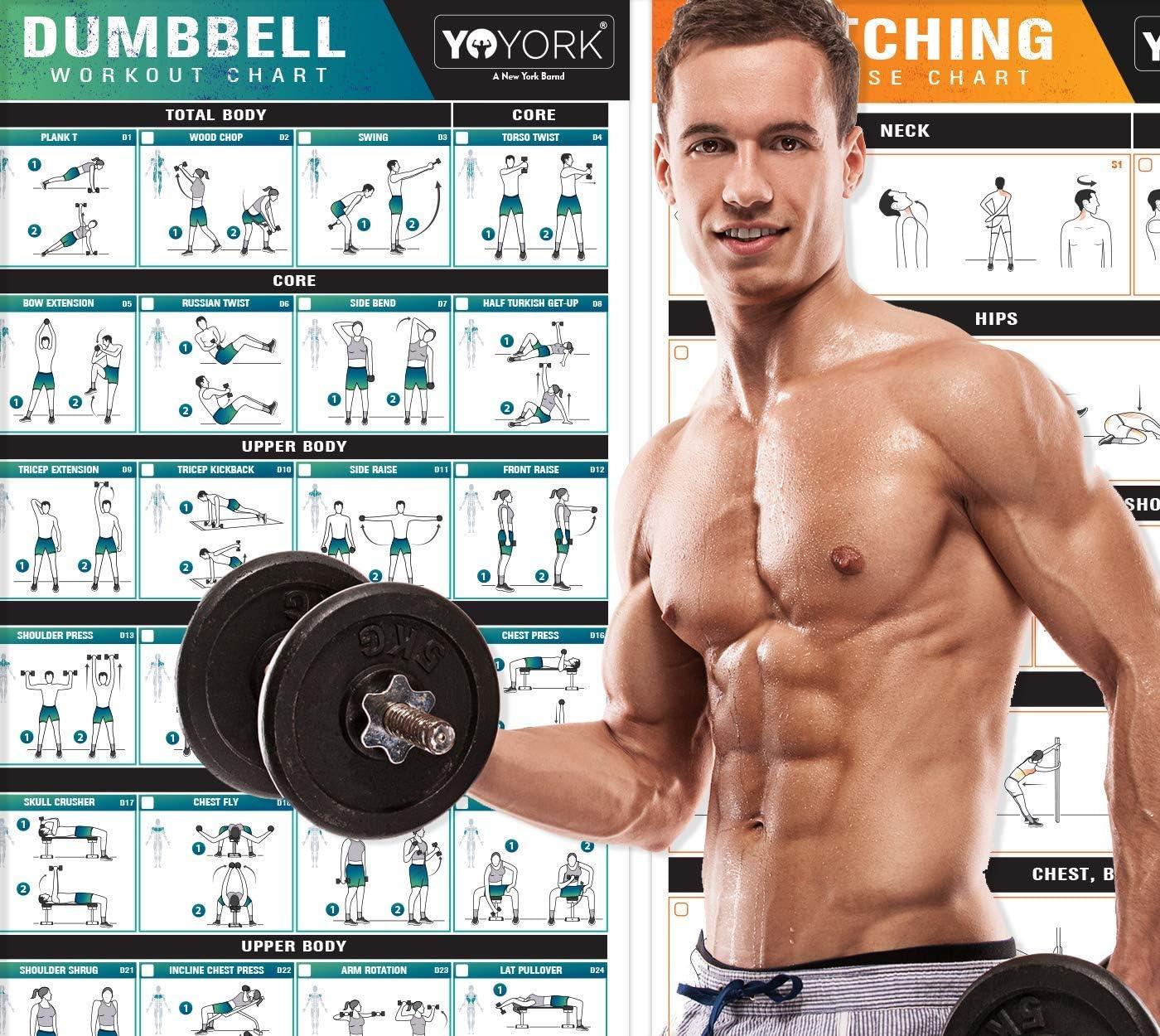 YoYork Stretching & Bodyweight Training Exercise Posters - Home Gym ...