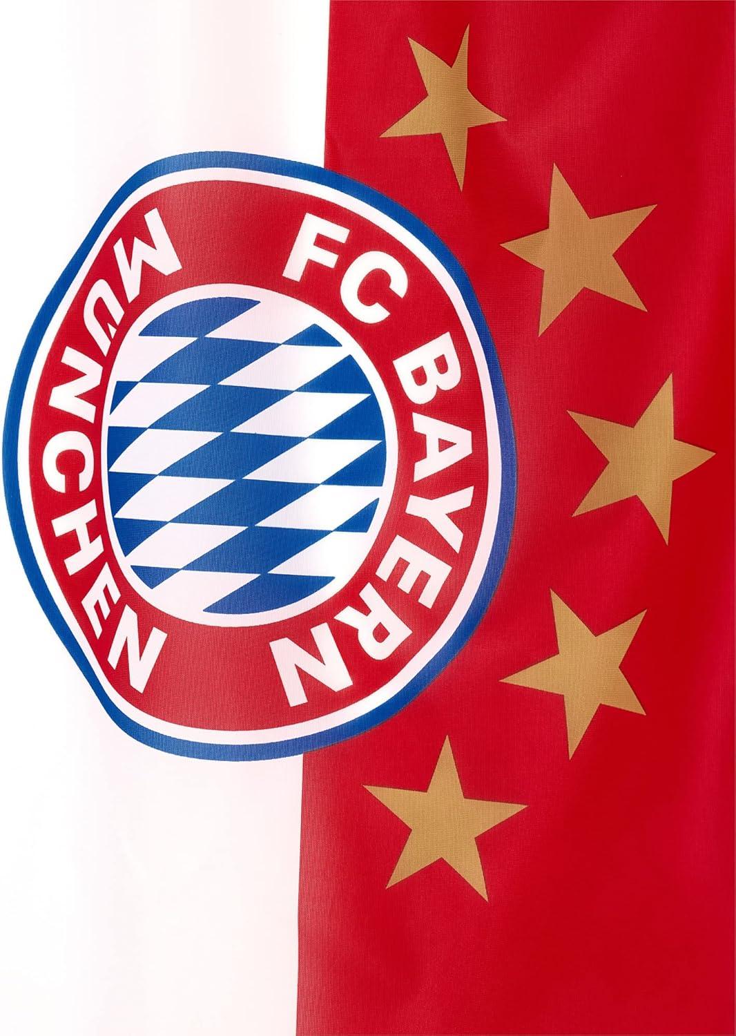 flaga munchen