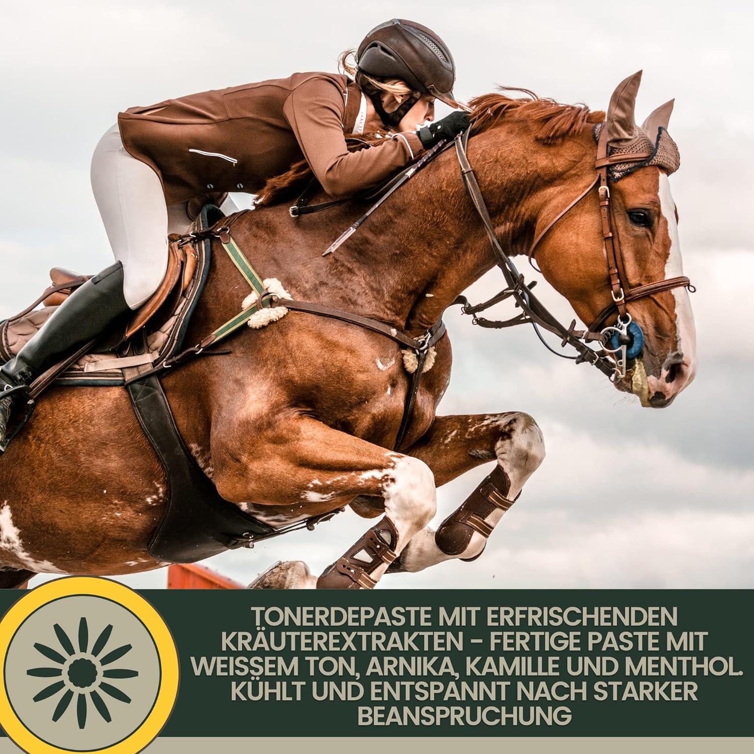 Emma Clay Horse Paste 1.5kg - Cooling Muscle & Joint Relief with Arnica ...