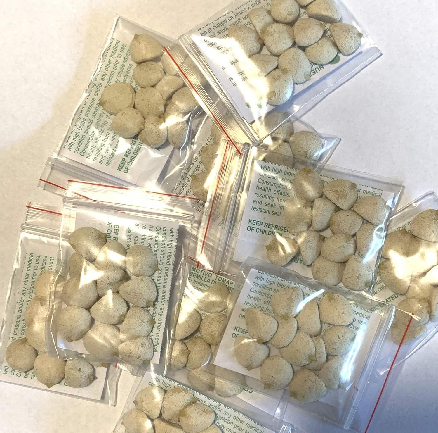 6 Pack Indian Nut 72 Seeds for Weight Loss - Original Indian Seed for ...