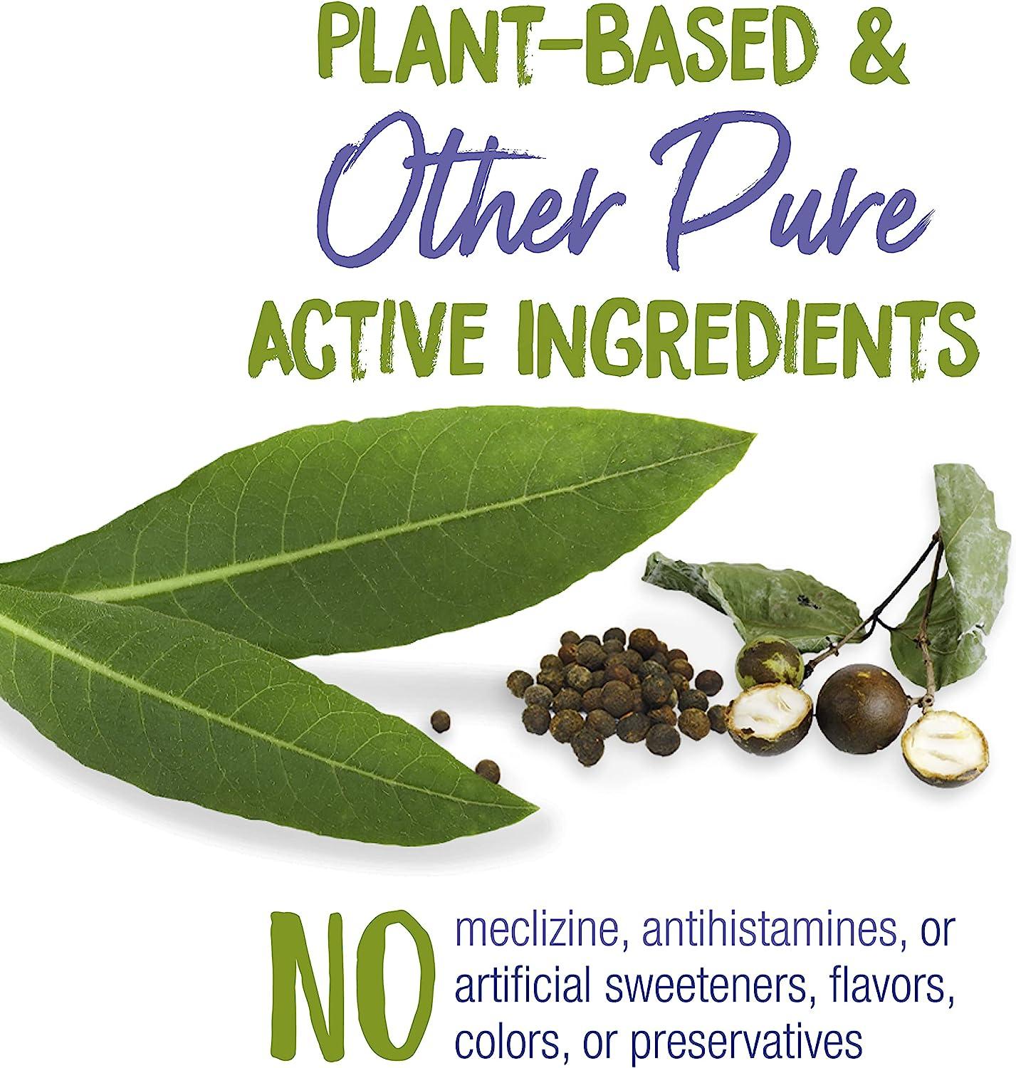 Boiron MotionCalm Relief for Nausea, Vomiting, Dizziness | Non-Drowsy ...