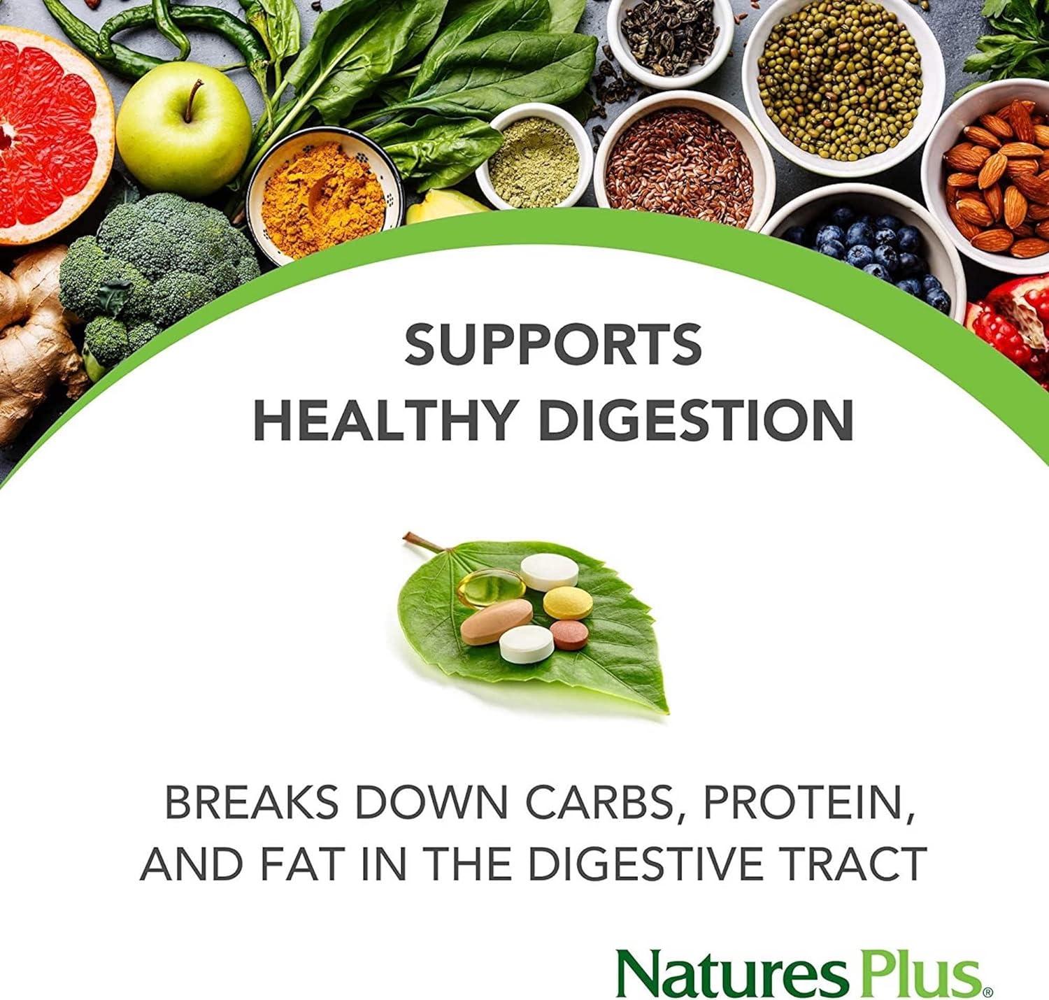 UltraZyme Digestive Enzyme Supplement - 90 Tablets | NaturesPlus ...