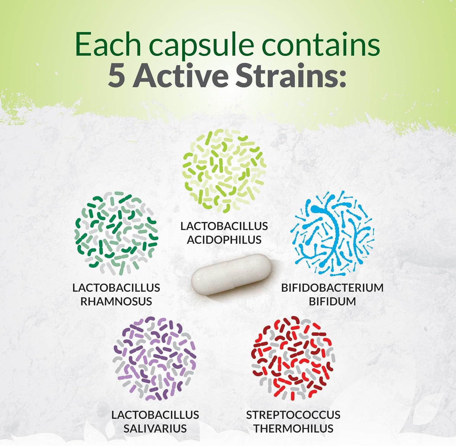 Bio-Cultures Probiotics - 180 High Strength Capsules, 6 Month Supply ...