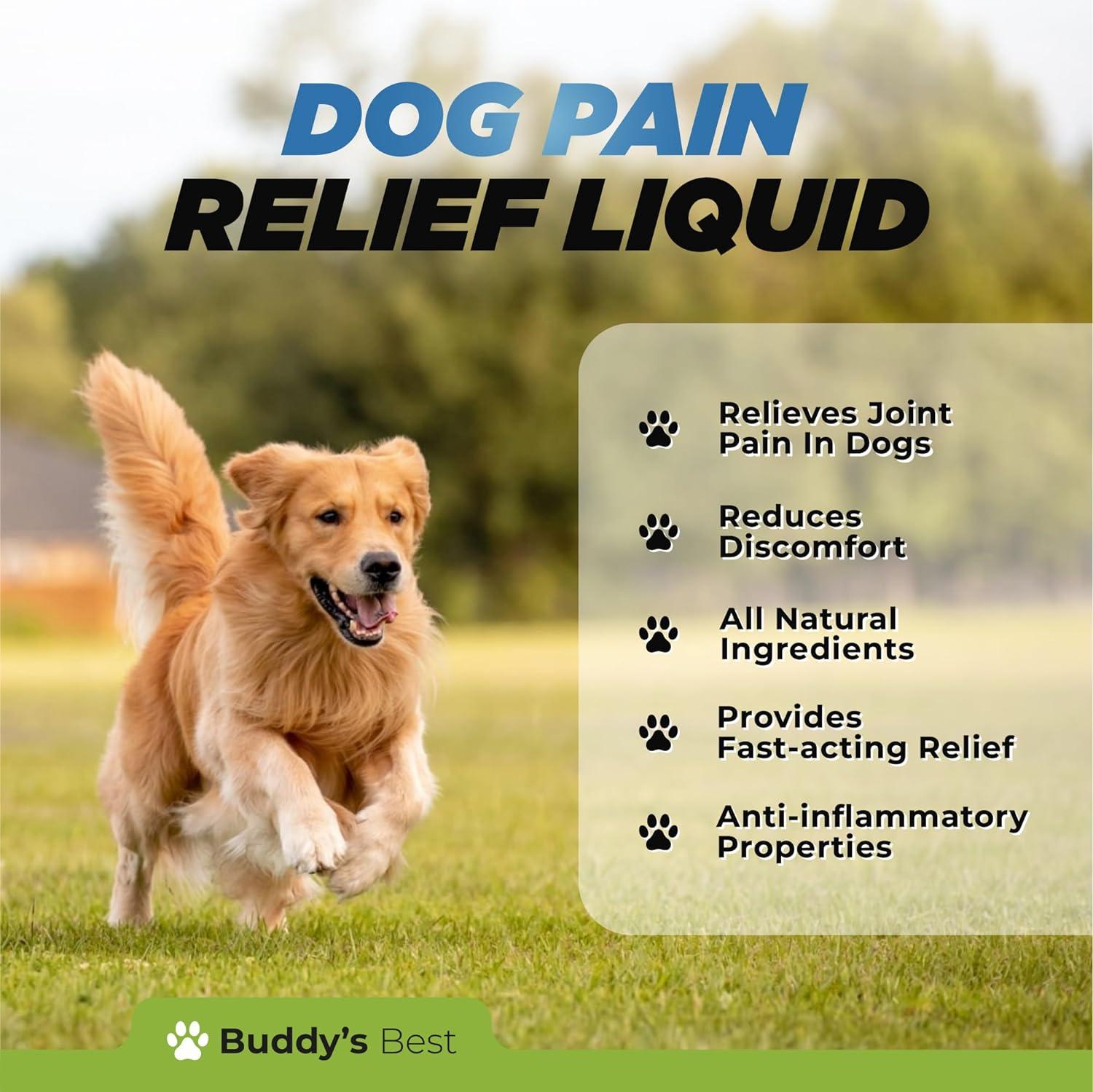 Dog Pain Relief Liquid - Natural Fast-Acting Formula for Joint Pain and ...