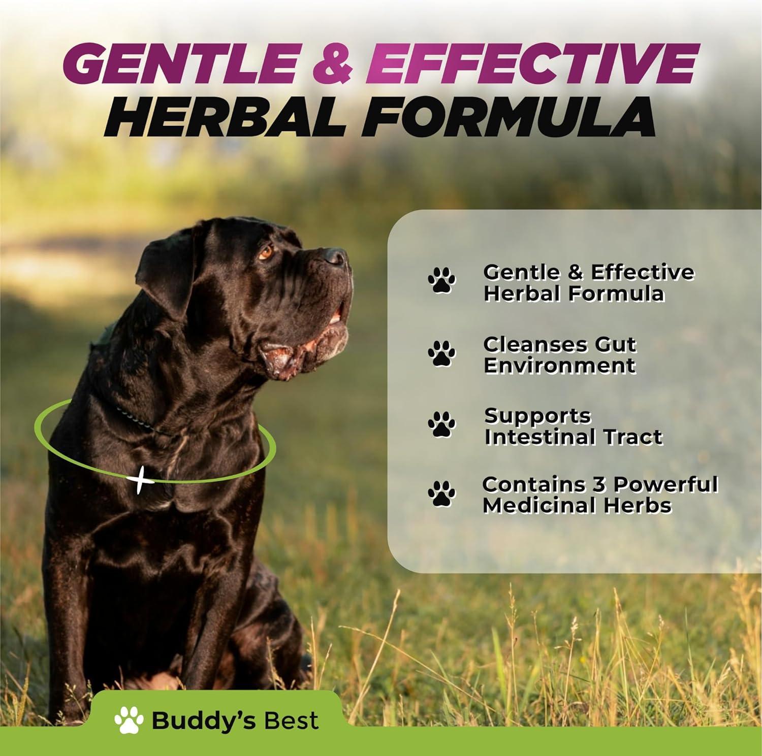 Natural Dewormer for Dogs | 100% Natural | Contains 3 Medicinal Herbs ...