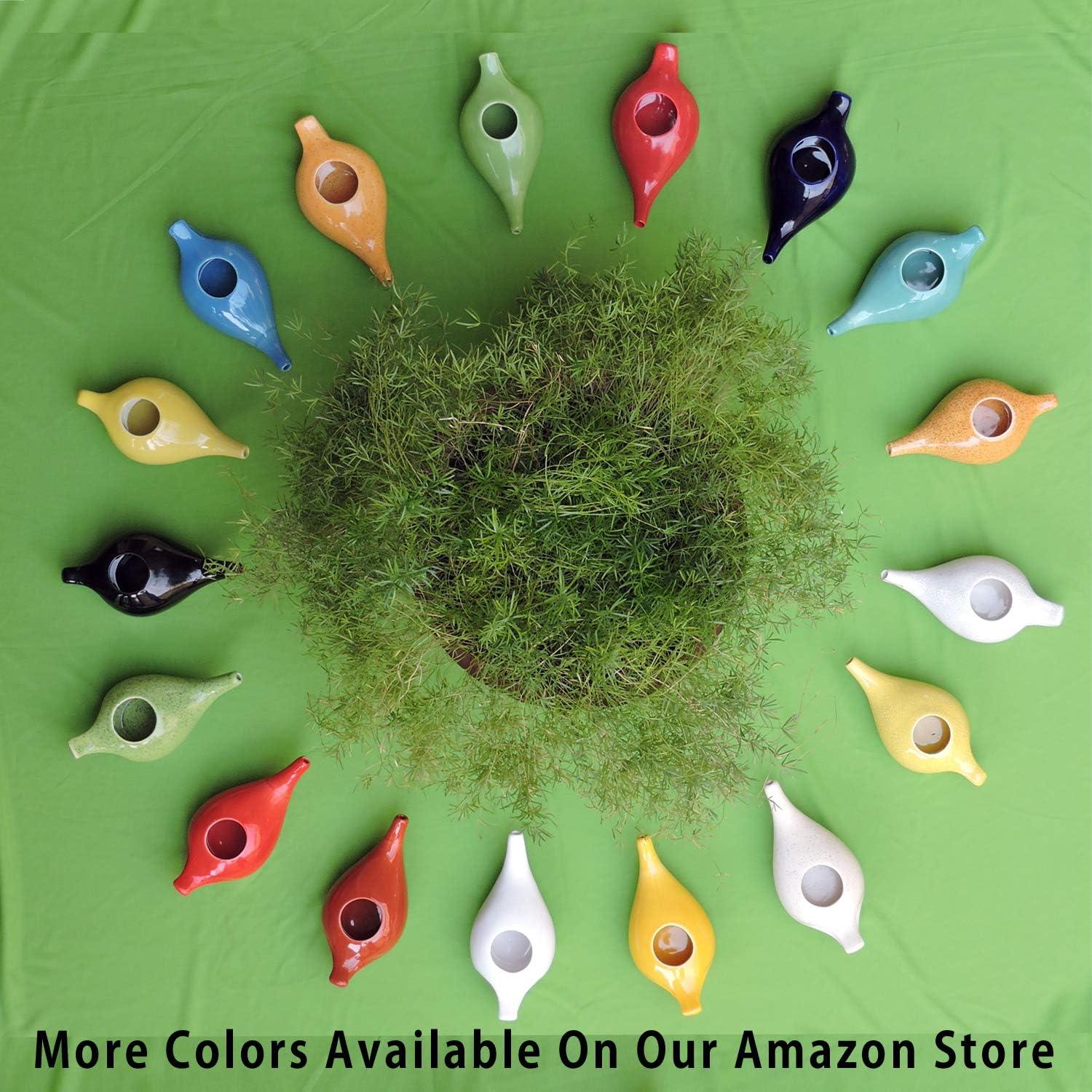 Ancient Impex Ceramic Neti Pot 270 ML with 5 Sachets Neti Salt - Violet ...