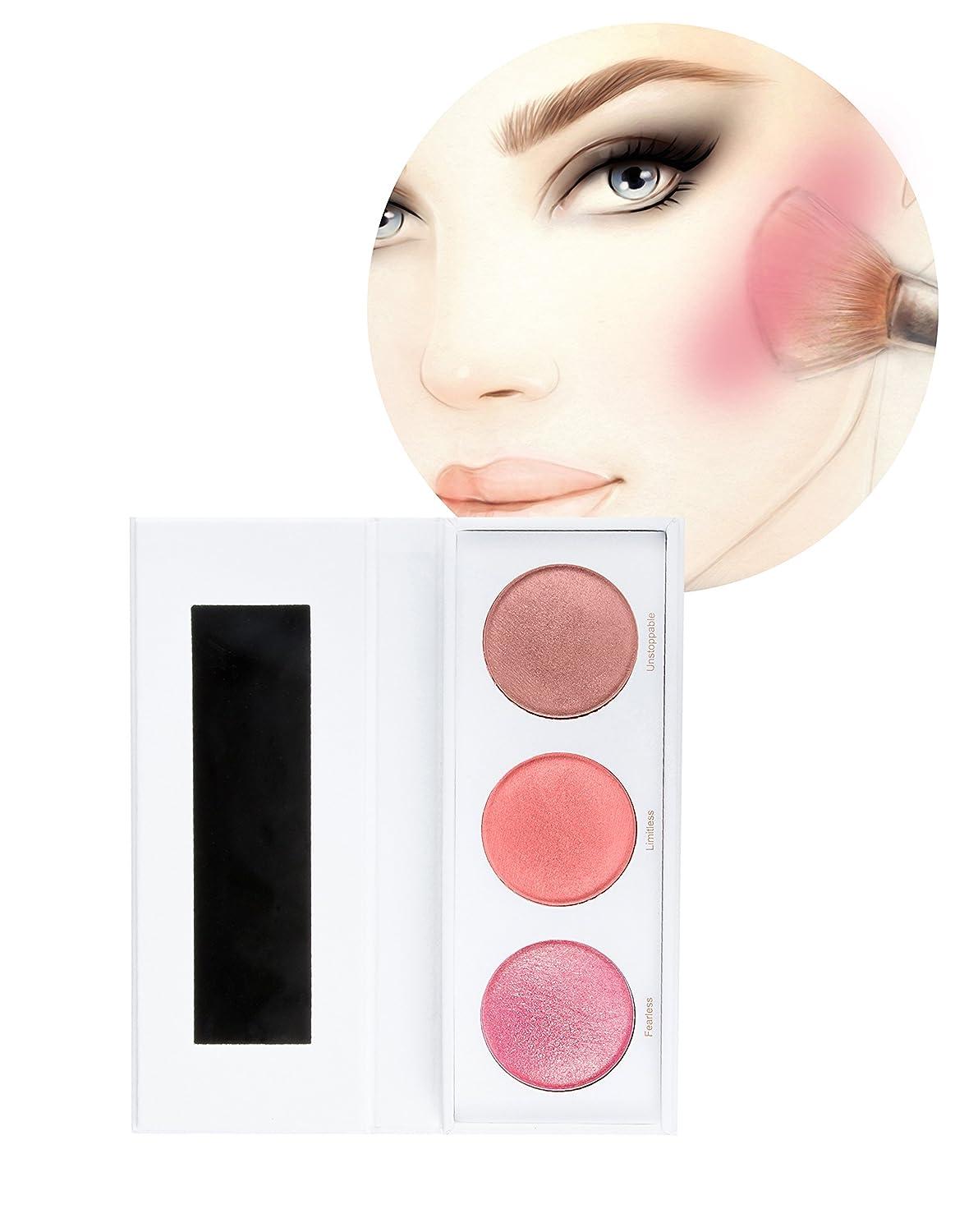 RealHer Everyday Blush Kit: Shimmers, Bronzer, Highlighting Cheek Color ...