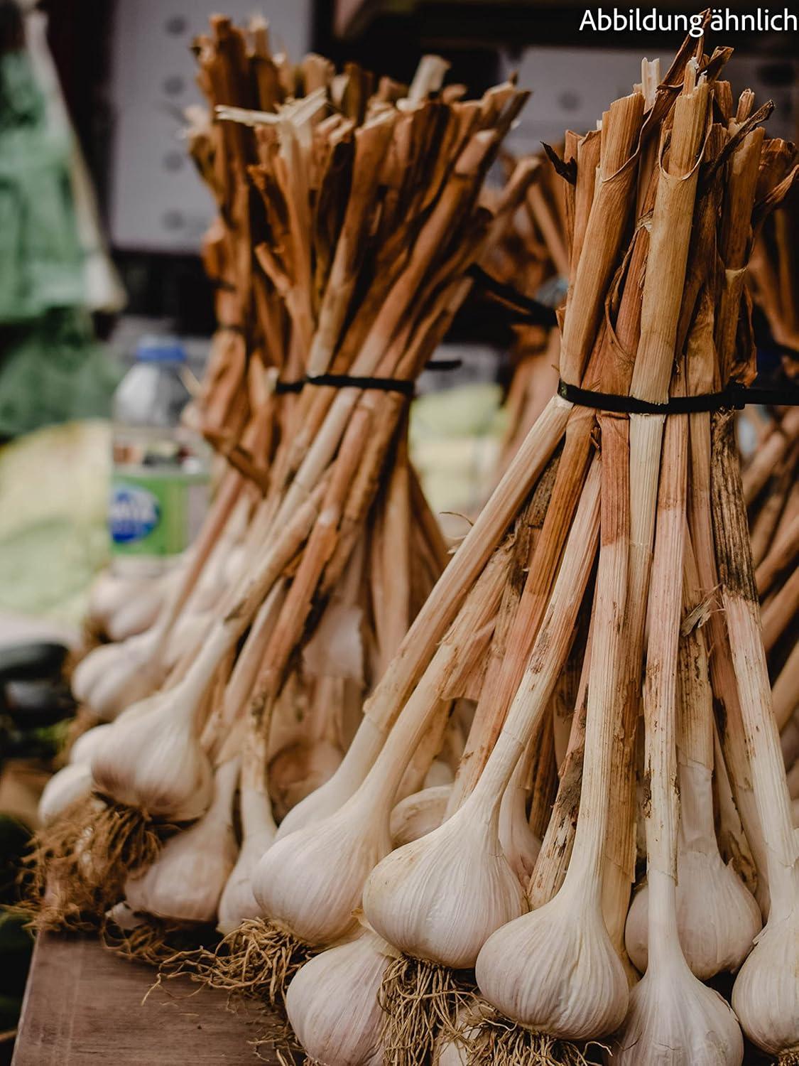 Buy Premium Garlic Powder Granulated & Ground Garlic - 500g Sizes ...