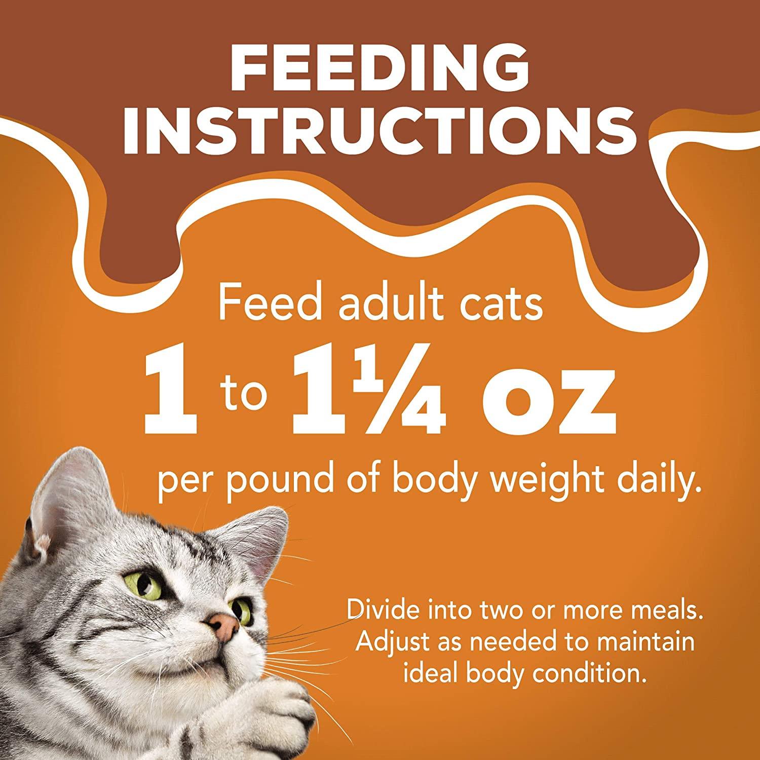 Purina Friskies Extra Gravy Chunky Wet Cat Food Variety Pack - 24 Cans ...