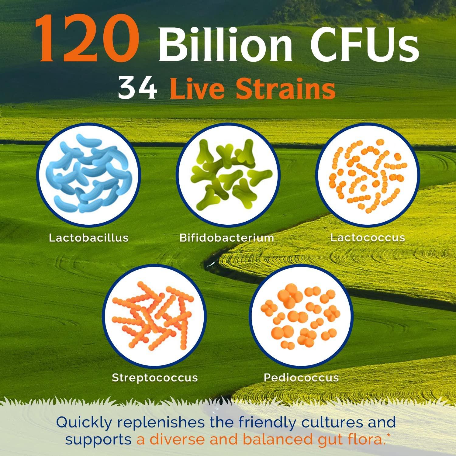 120 Billion CFU Probiotics with Prebiotics & Enzymes for Digestion ...