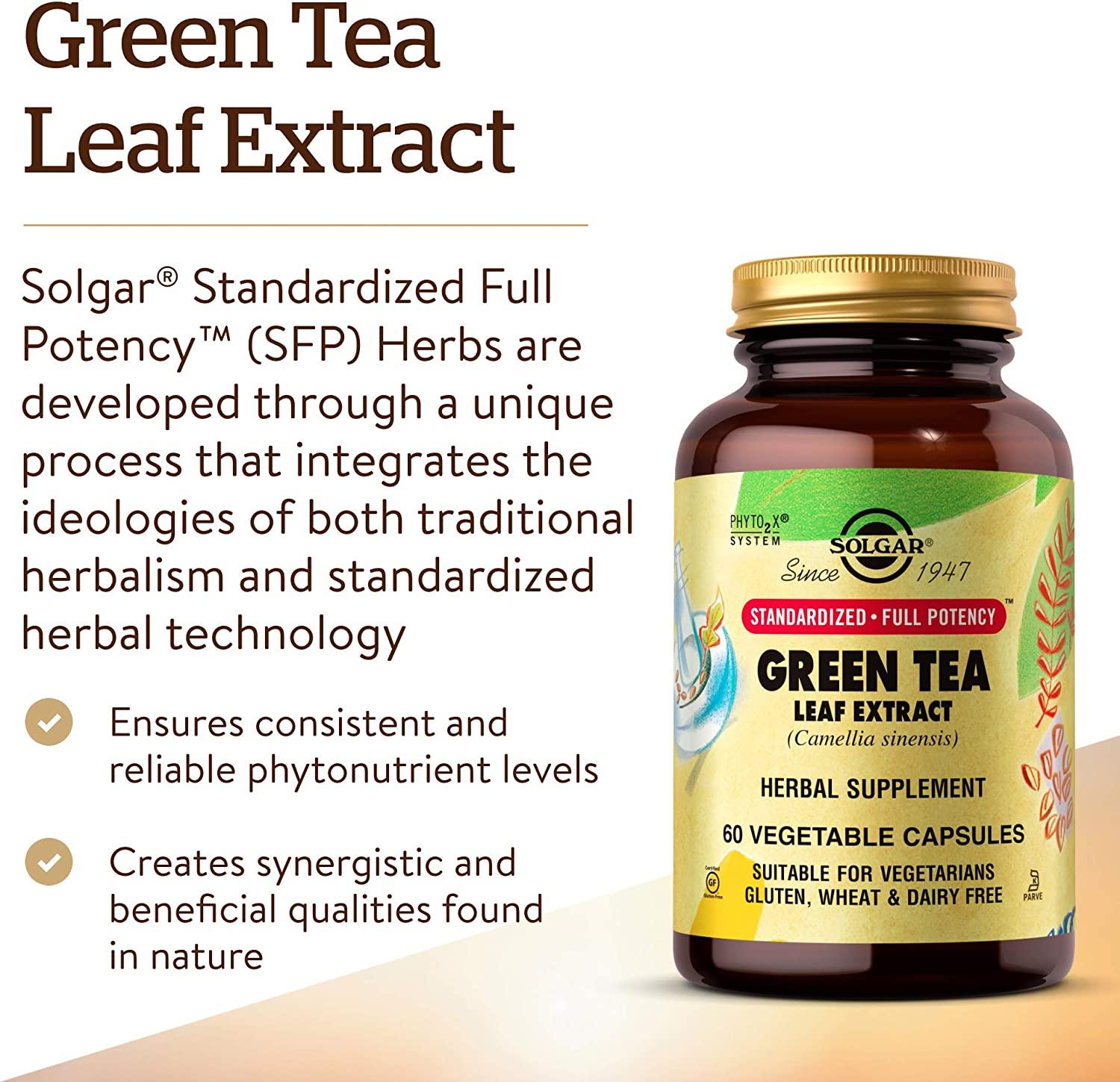 Solgar Green Tea Extract 60 Veg Capsules - Premium Antioxidant ...
