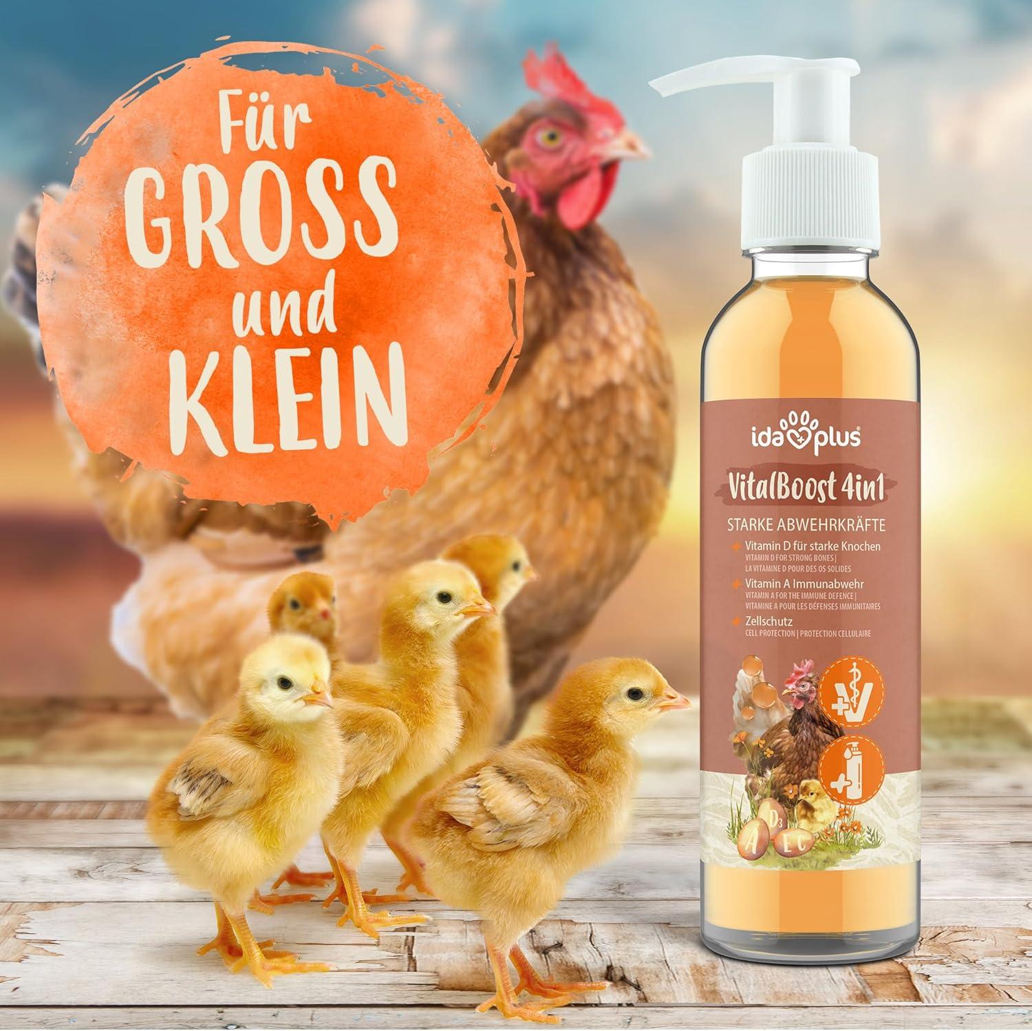 Ida Plus Vitalboost 4in1 200 ml - Premium Vitamin Concentrate for ...