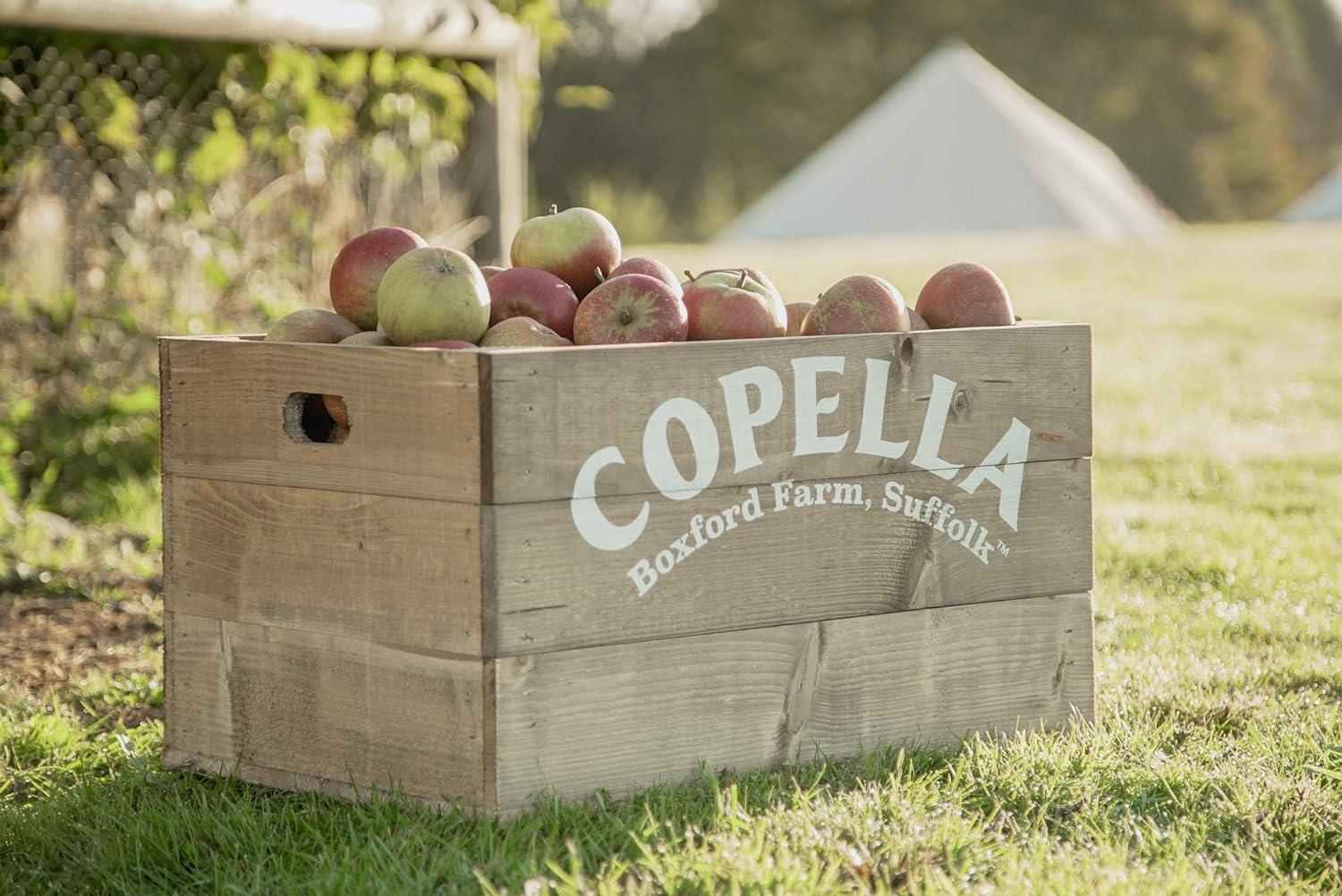 Copella Cloudy Apple Juice 1.35L - Pure & Refreshing Fruit Drink | Buy ...