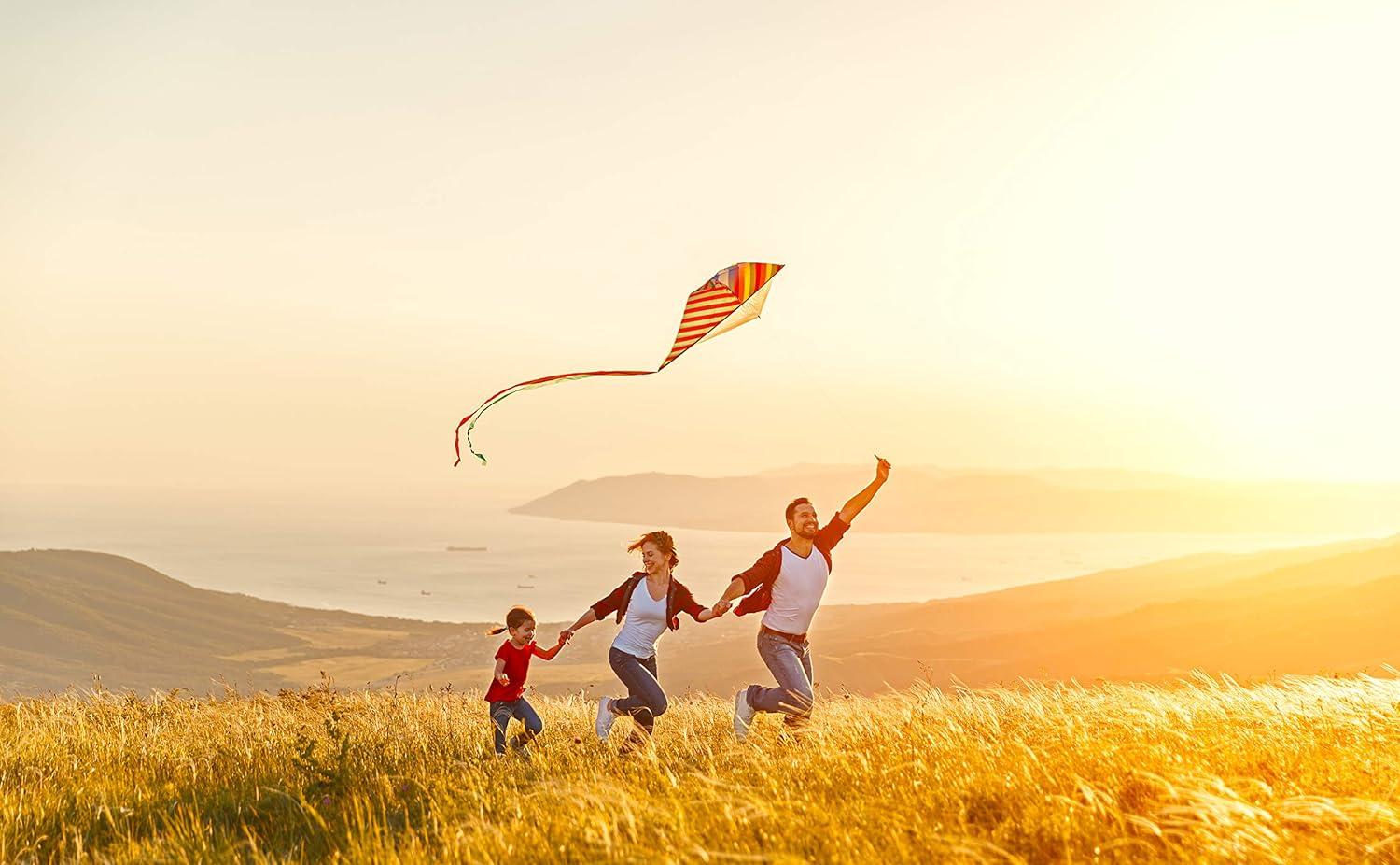 Lifestream Natural Magnesium Powder 150g - Pure Marine Source | High ...