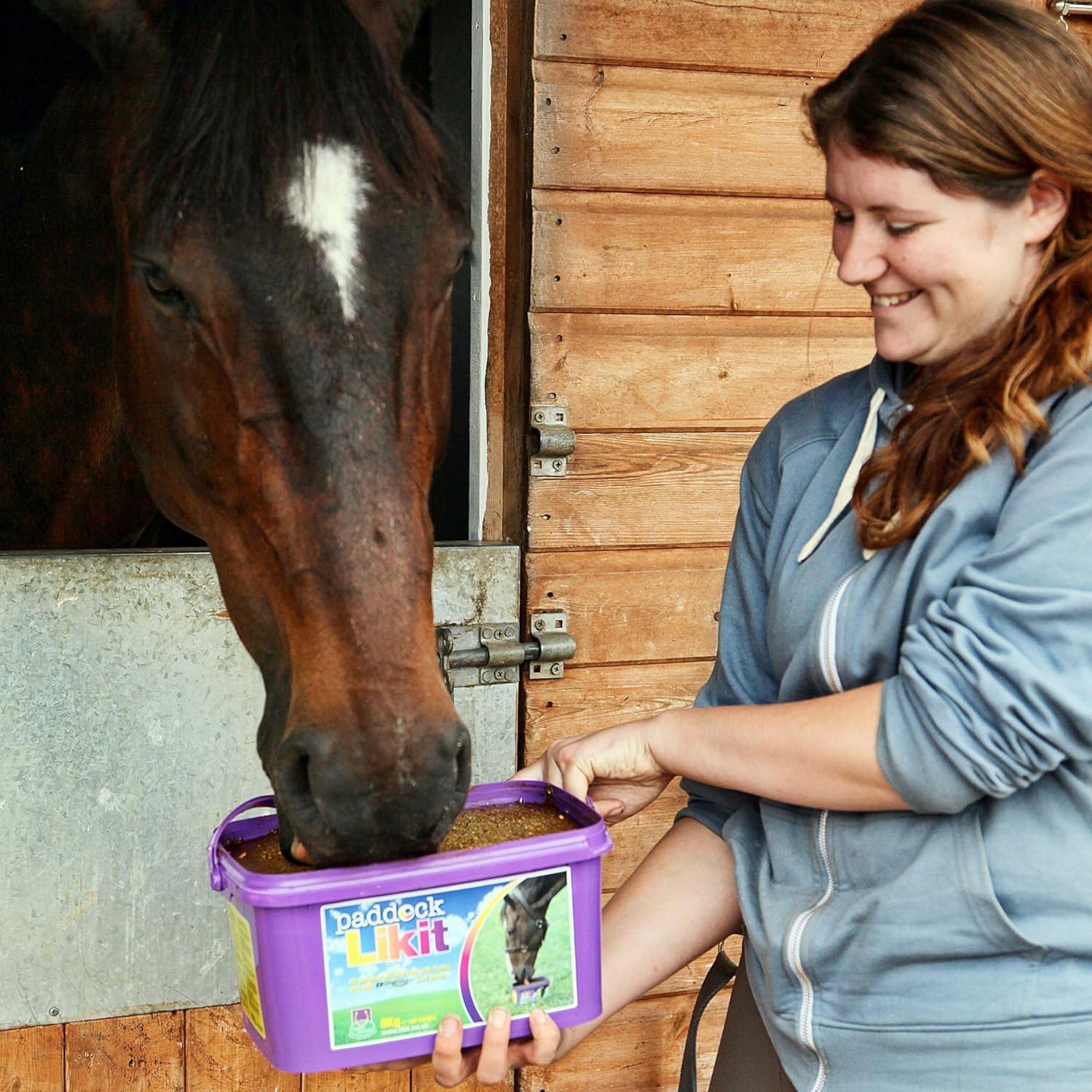 Likit Paddock 8kg | Horse Lick with Essential Vitamins & Minerals ...