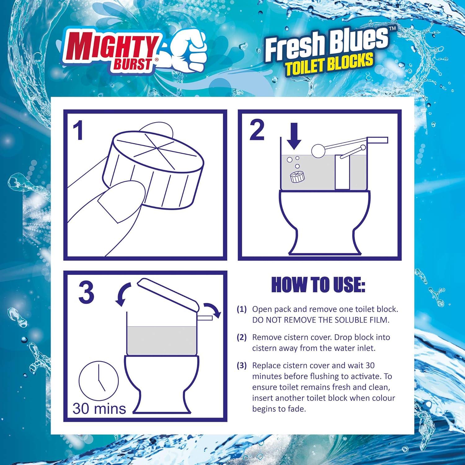 Mighty Burst Fresh Blues Toilet Block 6 Pack Cistern Blocks That ...