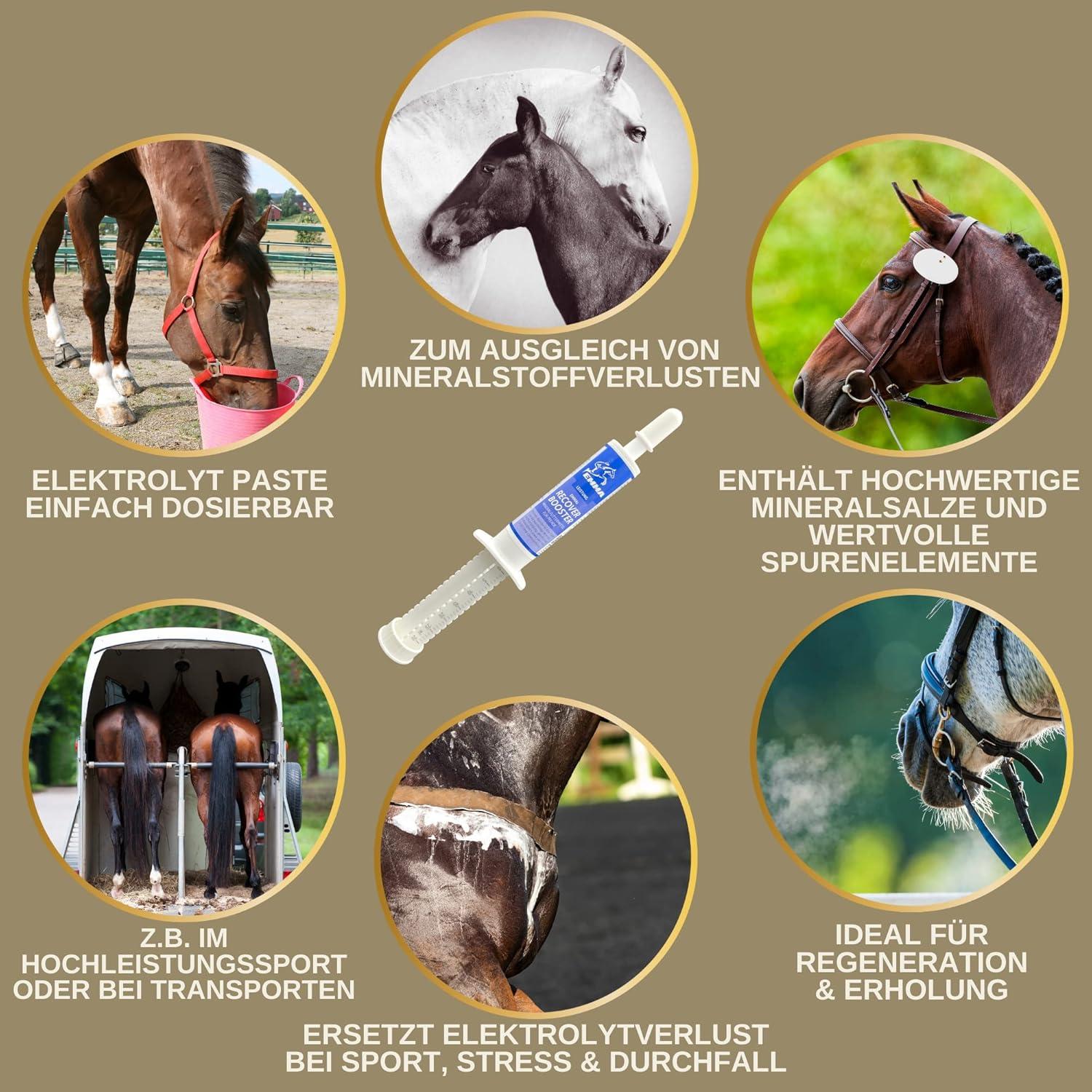 Electrolyte Horse Paste with Vitamins | B Complex Sodium Potassium ...