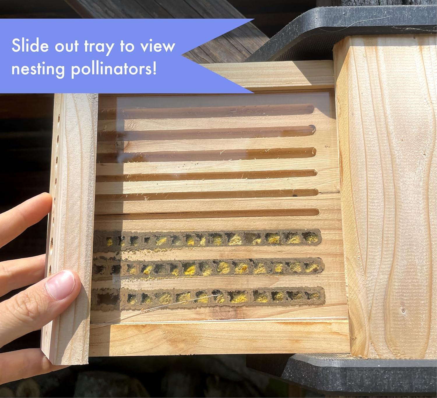 AirBee Bee Pollinator Hotel Interactive Home Pollinators Watch Bees ...