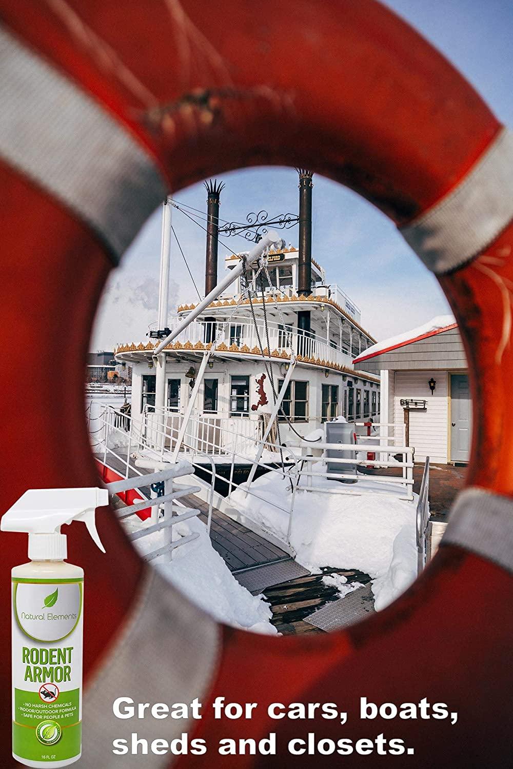 Natural Elements Rodent Armor: Premium Peppermint Oil Mouse Repellent ...