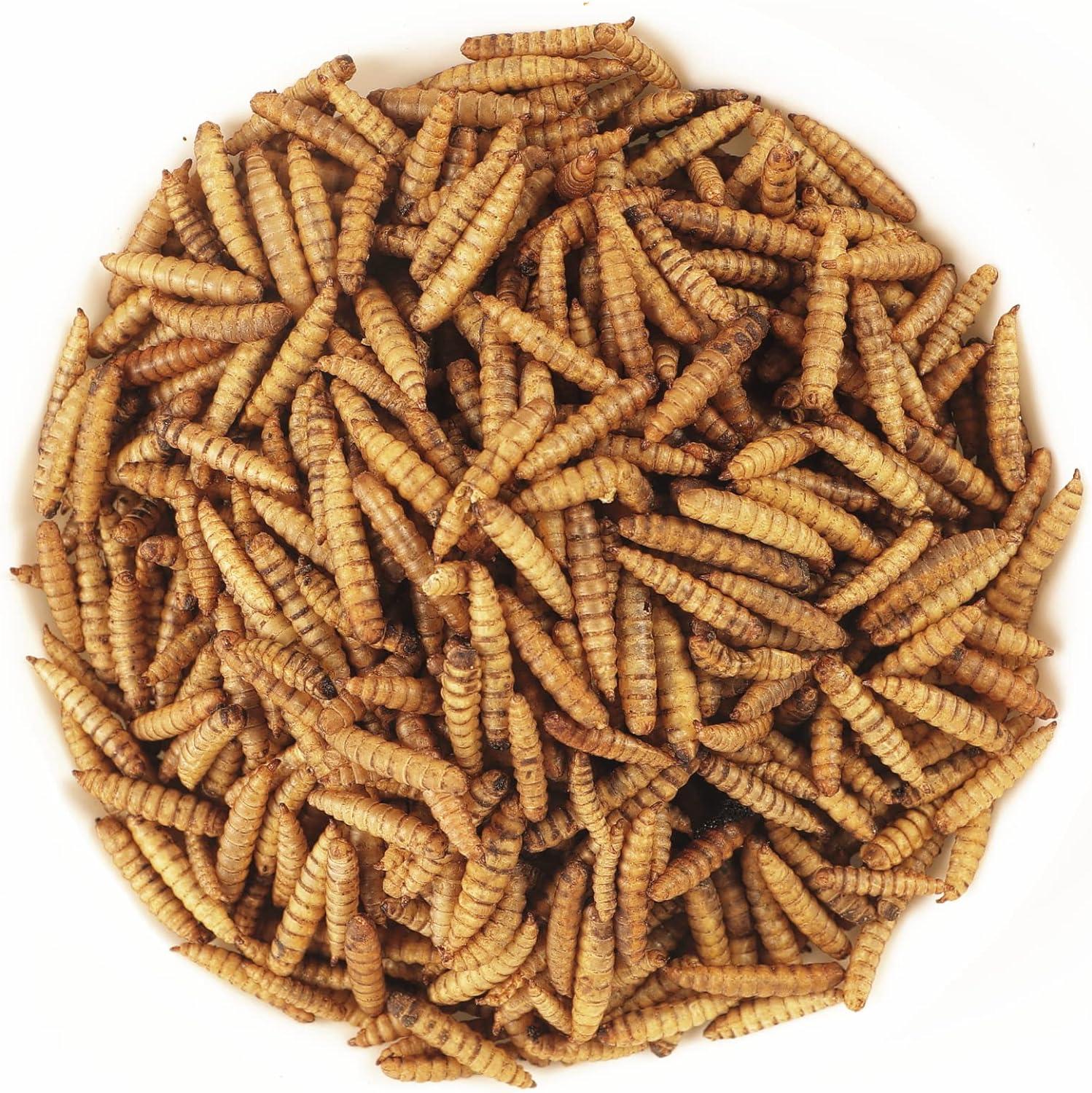Buy EWL Natural Products Soldier Fly Larvae - 1kg Dried Insect Feed for ...