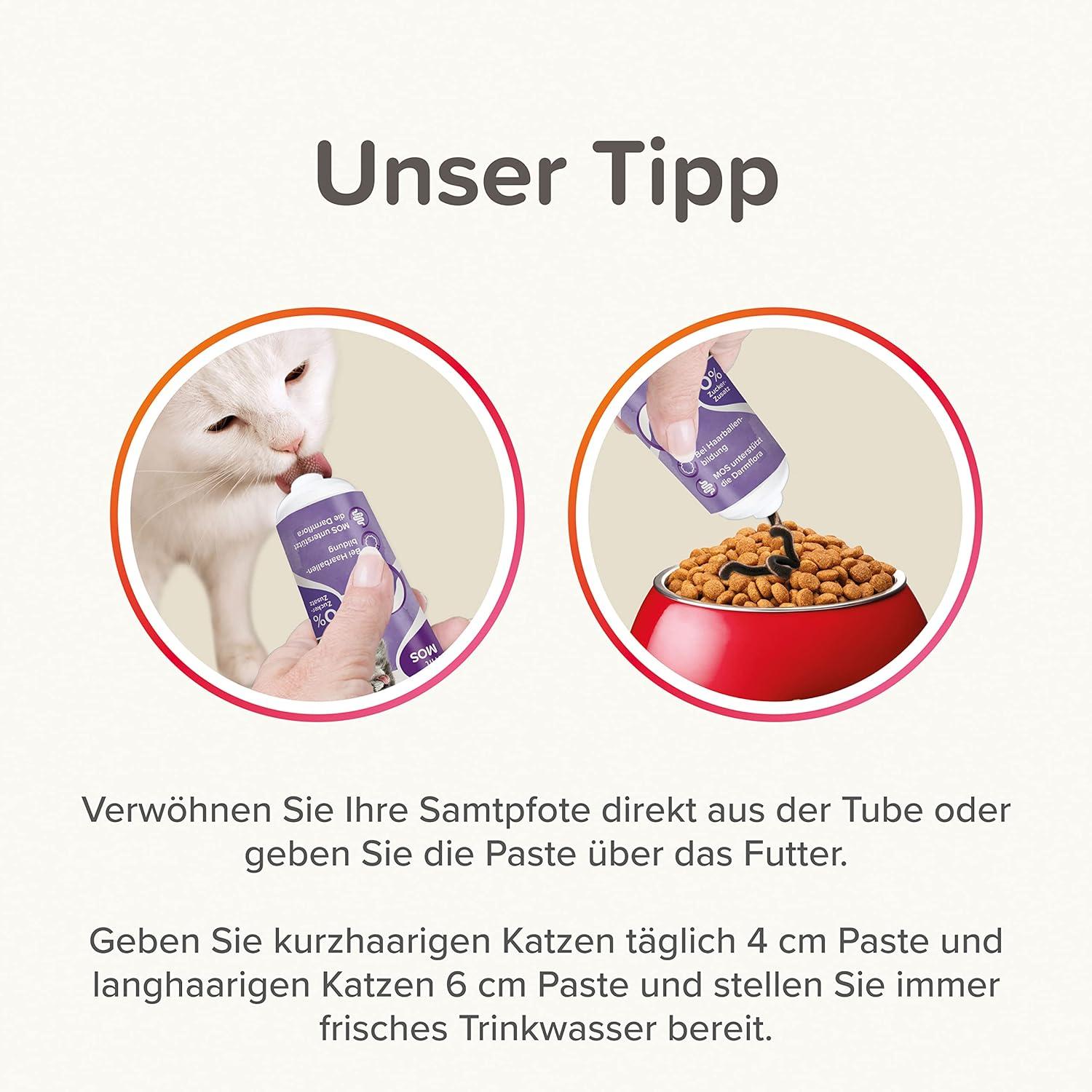 Beaphar Malt Paste for Cats - Hairball Control & Digestive Support ...