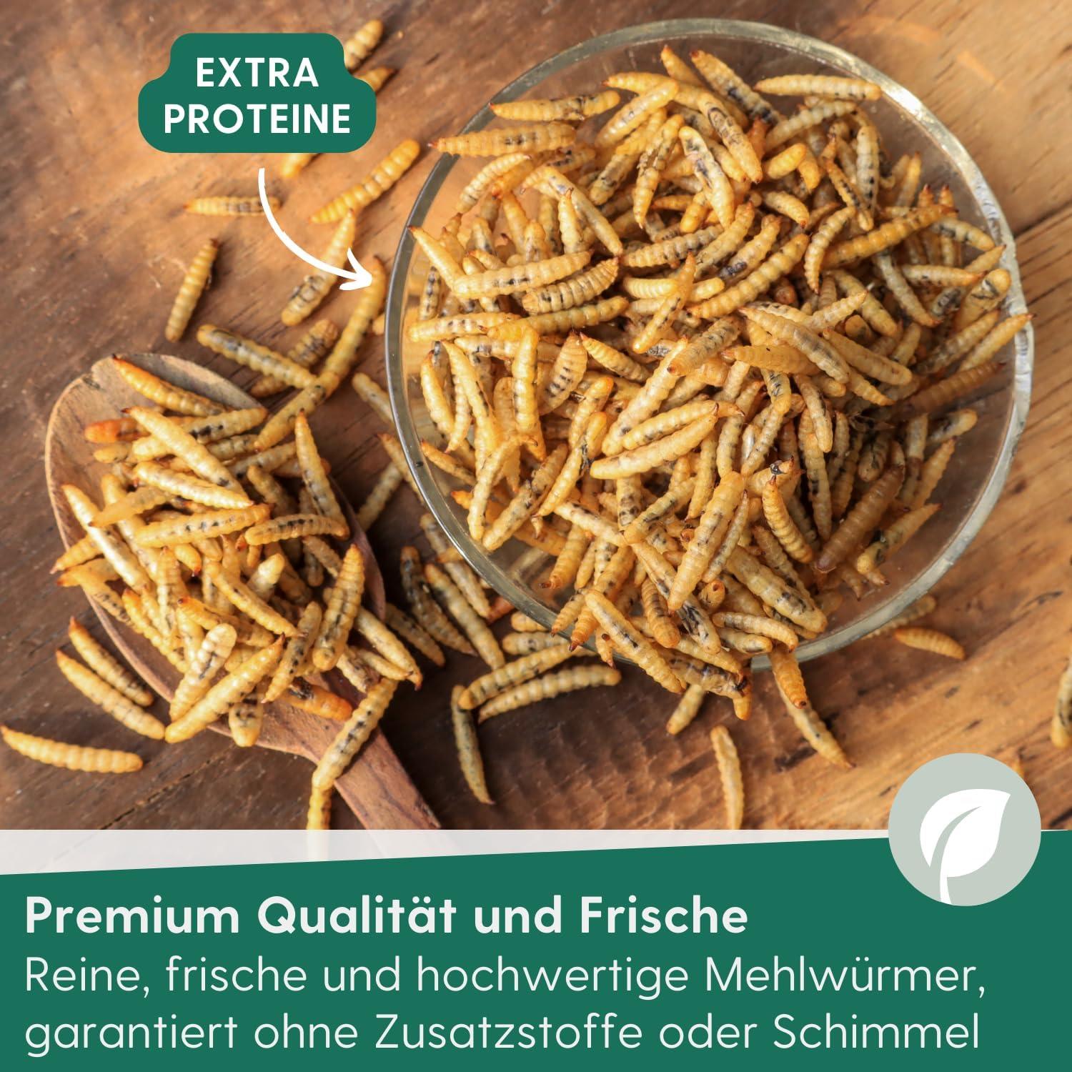 Buy 1kg Agricultural Zone Dried Mealworms - Premium Insect Snack for ...