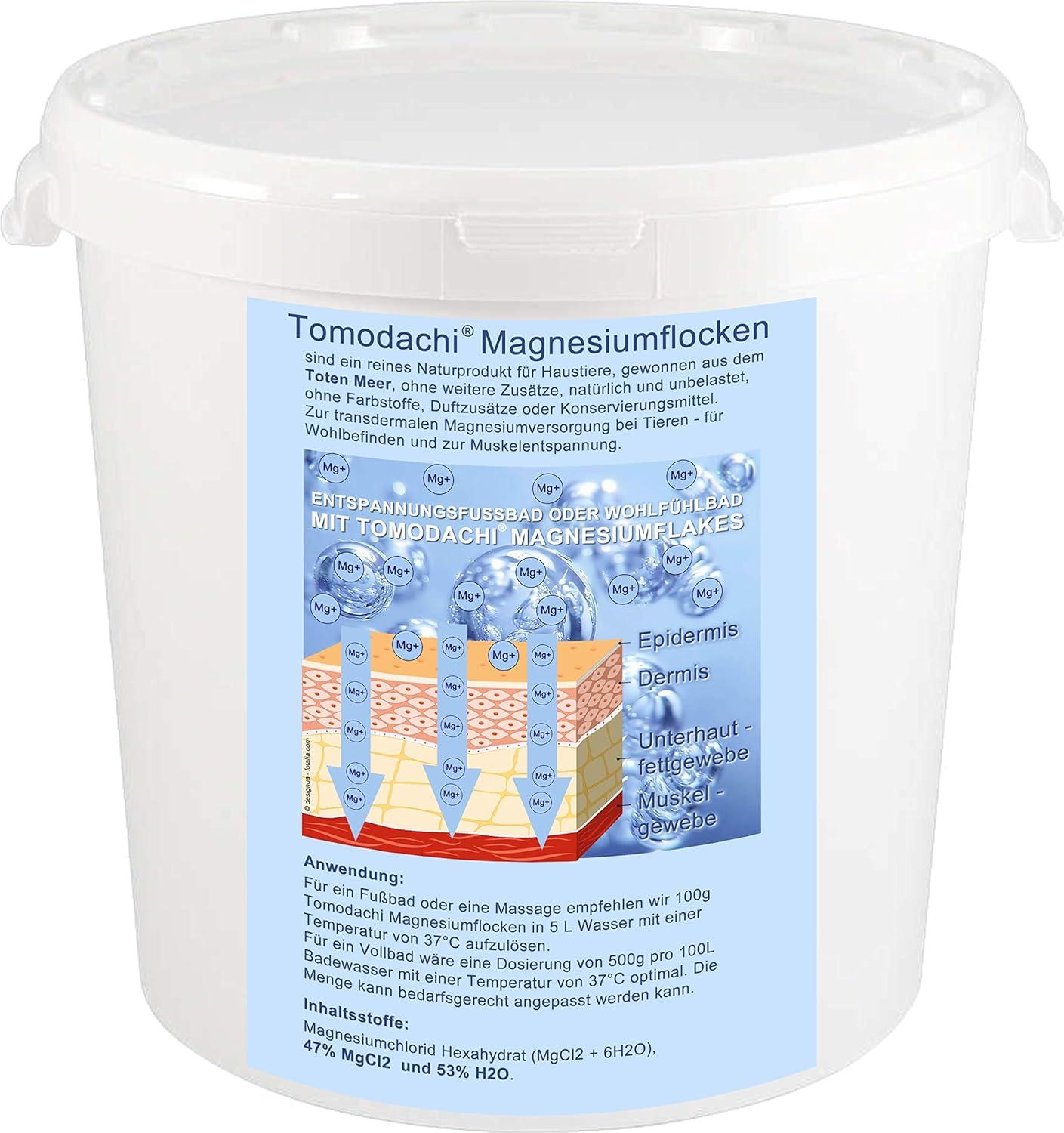 Buy 100% Natural Magnesium Chloride & Dead Sea Salt - Magnesium Flakes ...