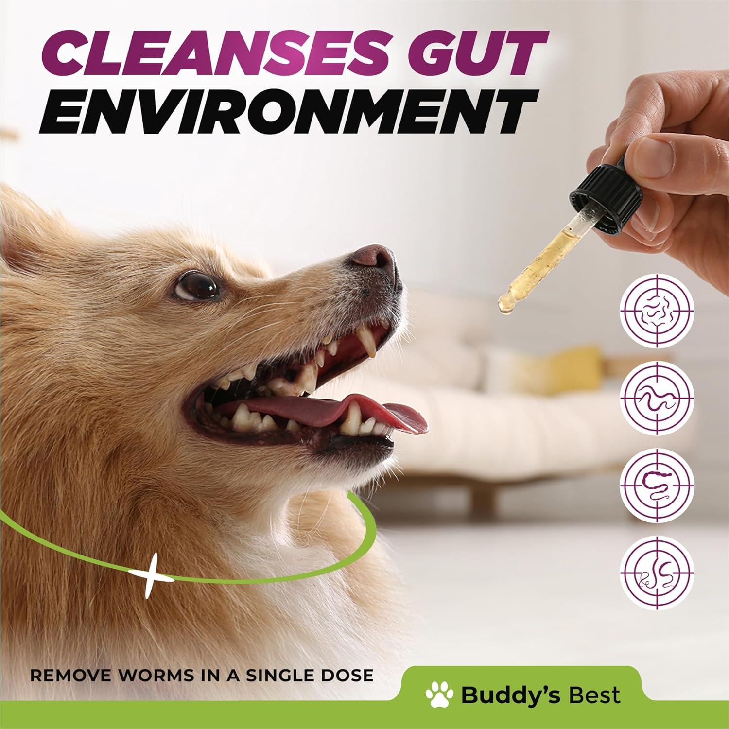 Natural Dewormer for Dogs | 100% Natural | Contains 3 Medicinal Herbs ...