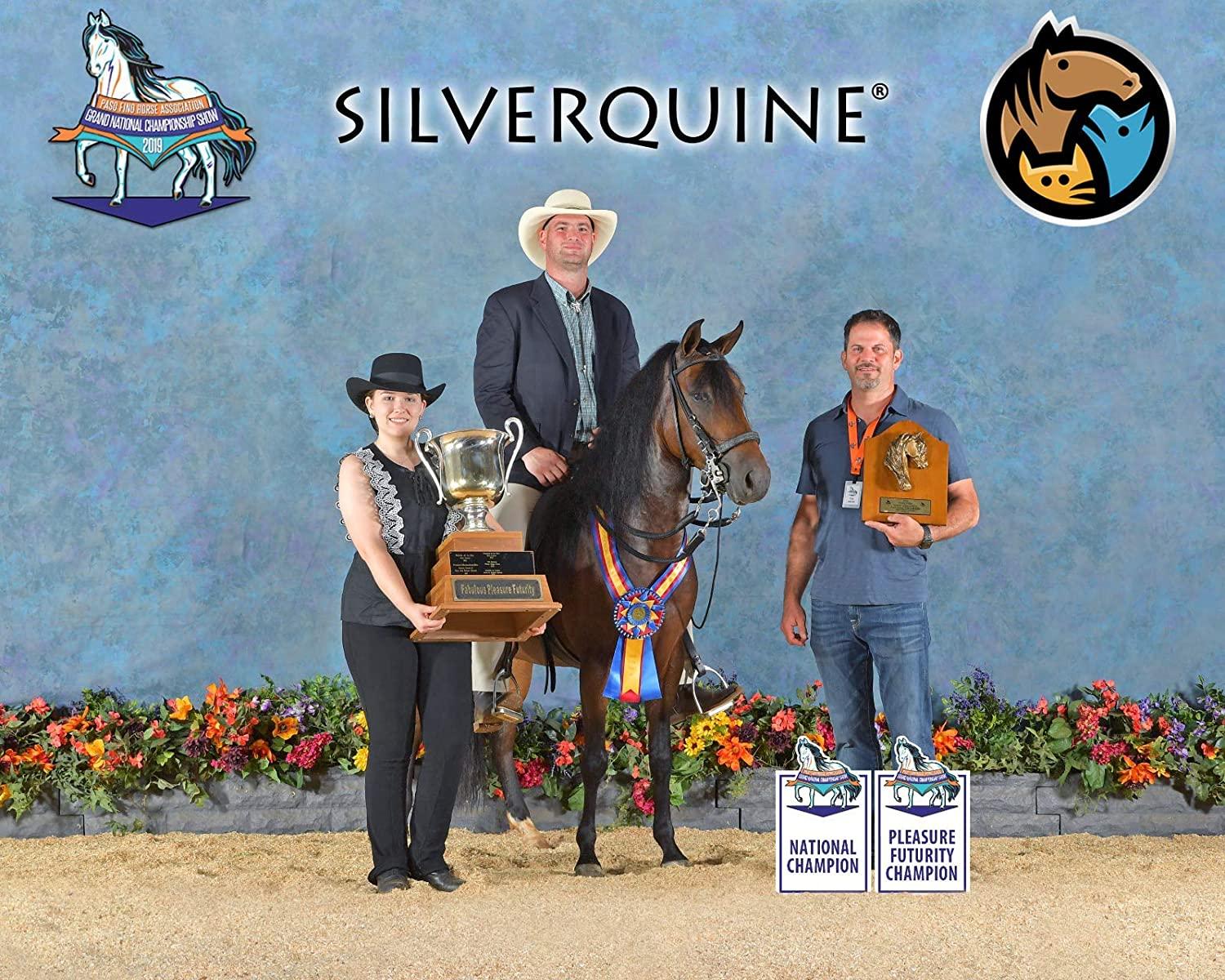 Silverquine Advanced Active Hydrogel Wound Care for Pets - Fast Healing ...