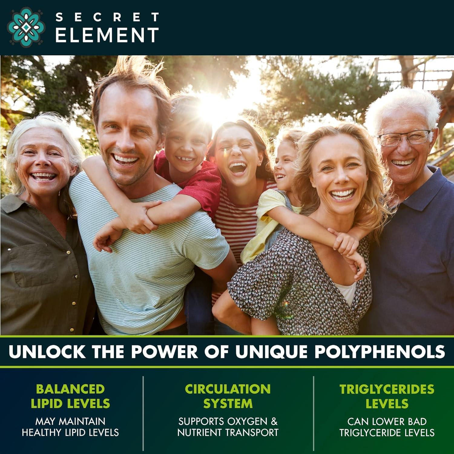 Secret Element Citrus Bergamot Extract 1000mg - 120 Capsules | Buy Now ...