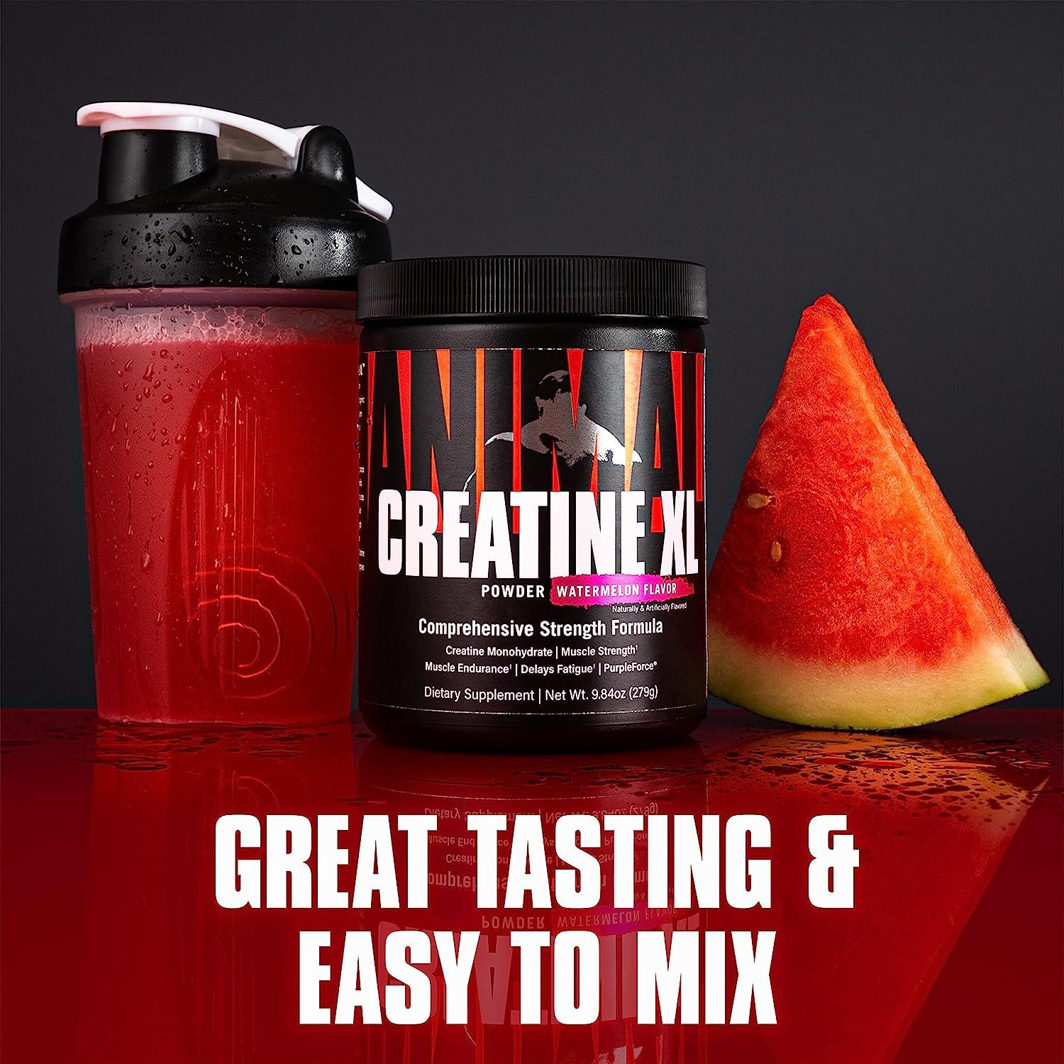 Animal Creatine XL Powder with PurpleForce & Senactiv - Enhanced ...