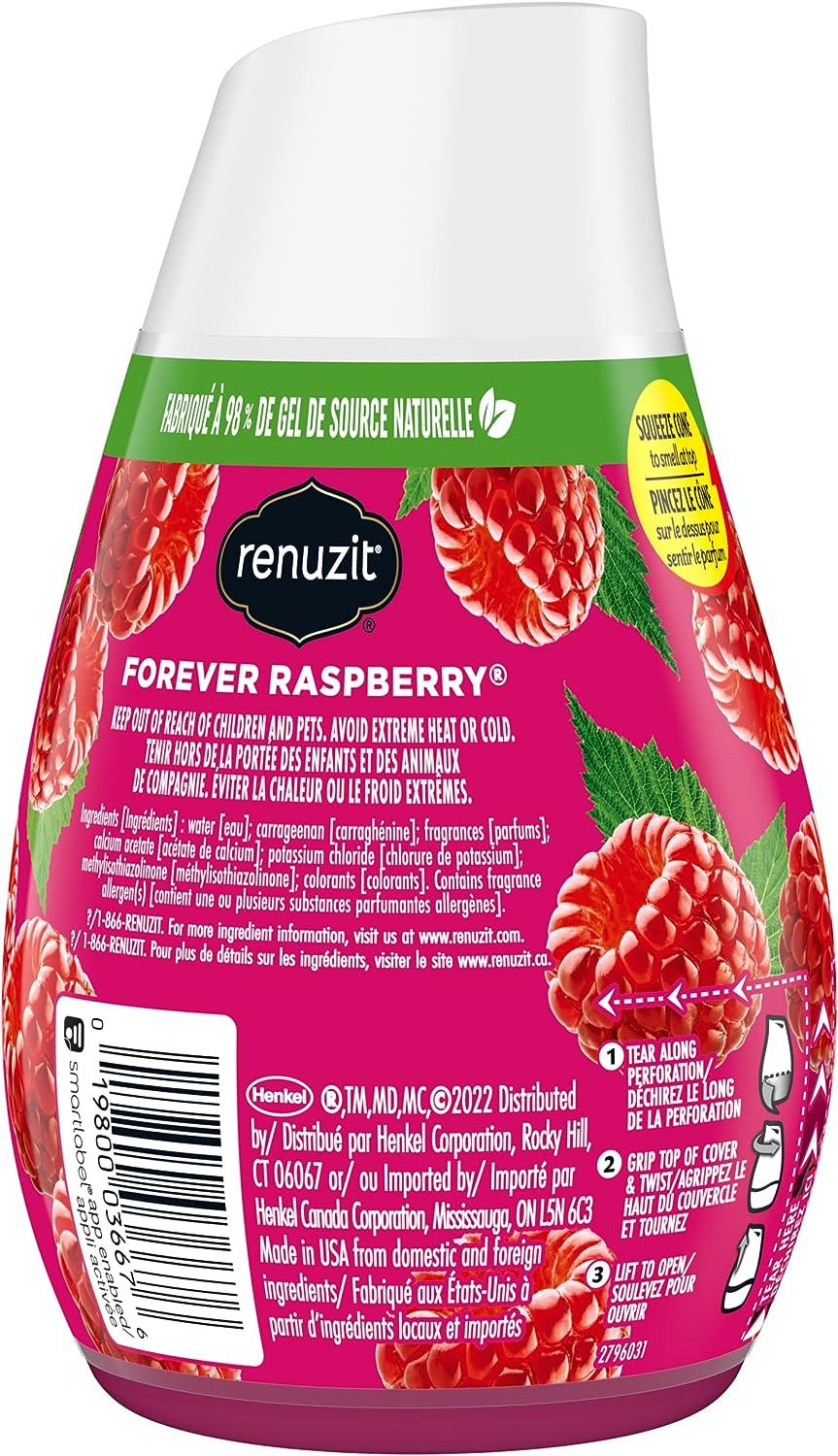 Renuzit Forever Raspberry Air Freshener 12-Pack | Buy Now with Express ...