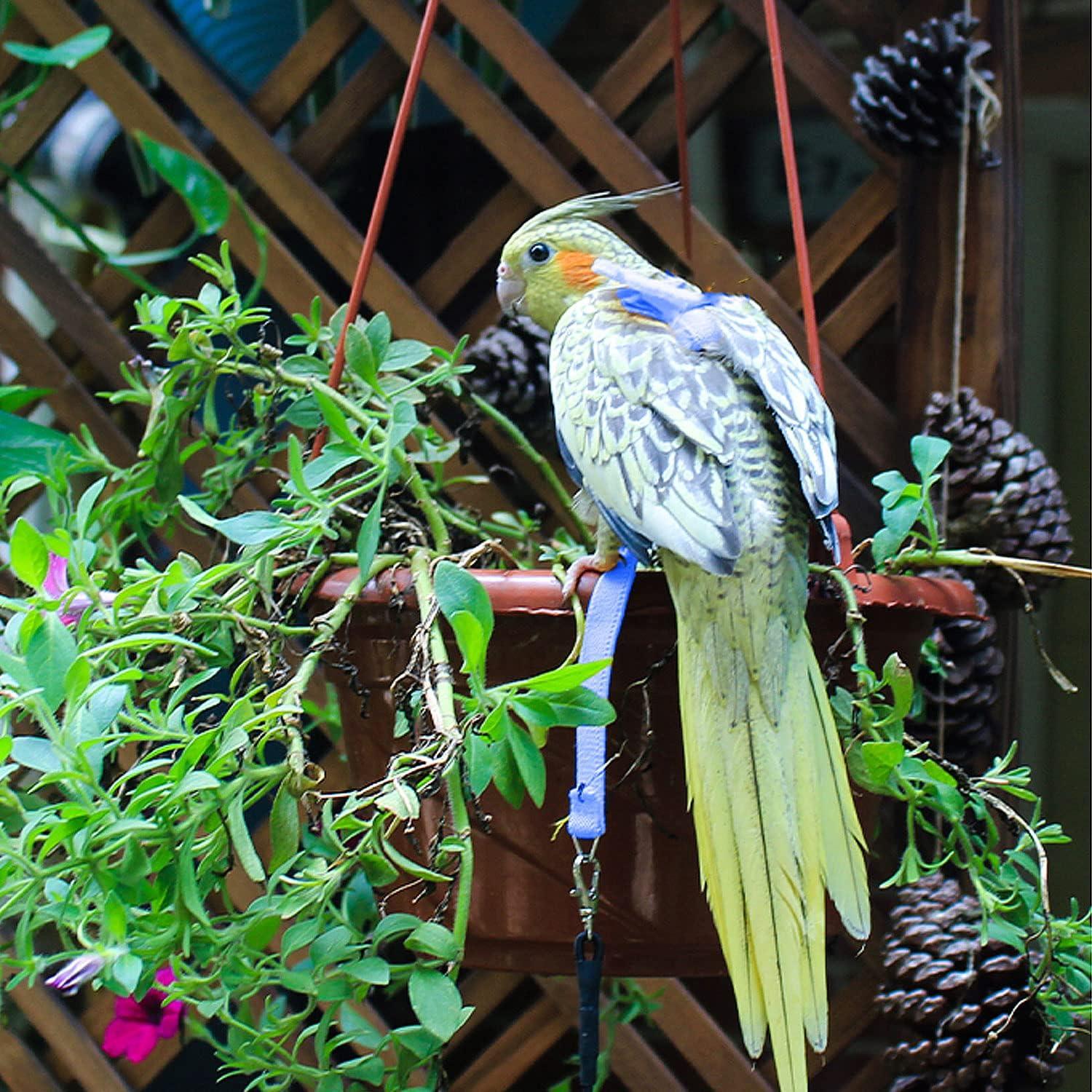 Newsmy Bird Harness Adjustable Feather Tether Parrot Harness Leash ...