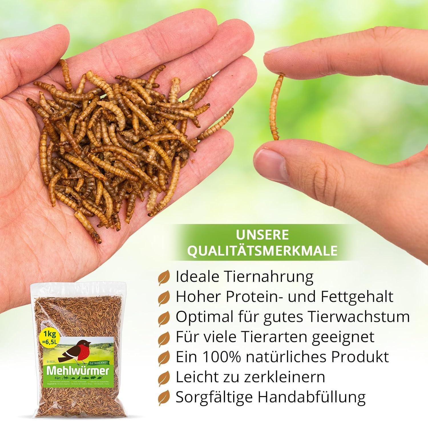 Premium 1kg Dried Mealworms - High Protein Flourworms for Reptiles ...