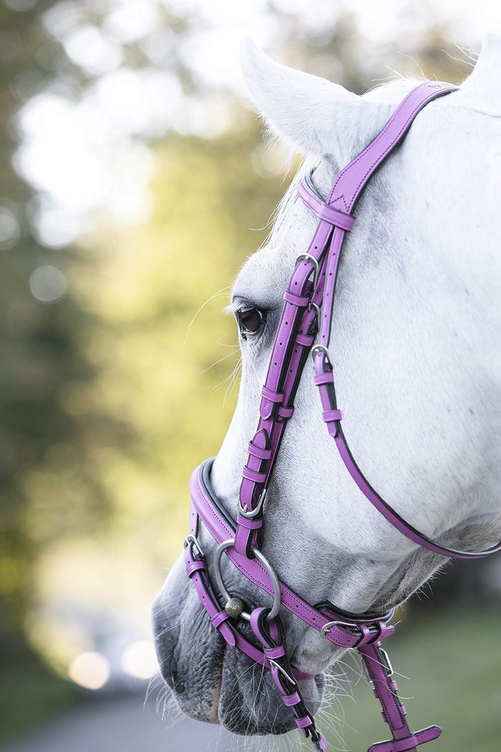 Indira Bridle Pro - Full Warmblood Size Pink 01 | Premium Quality ...