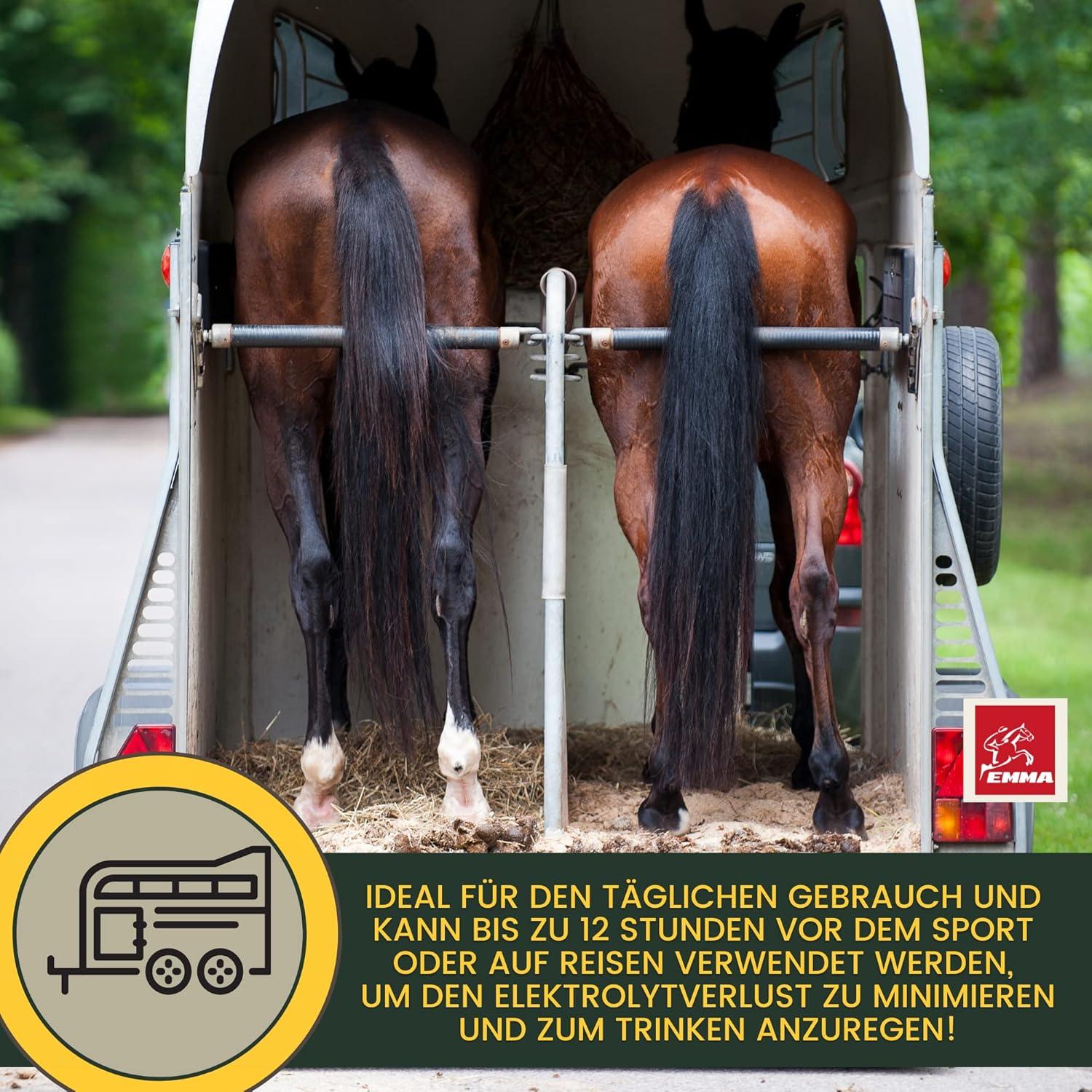 Electrolyte Horse Paste with Vitamins | B Complex Sodium Potassium ...