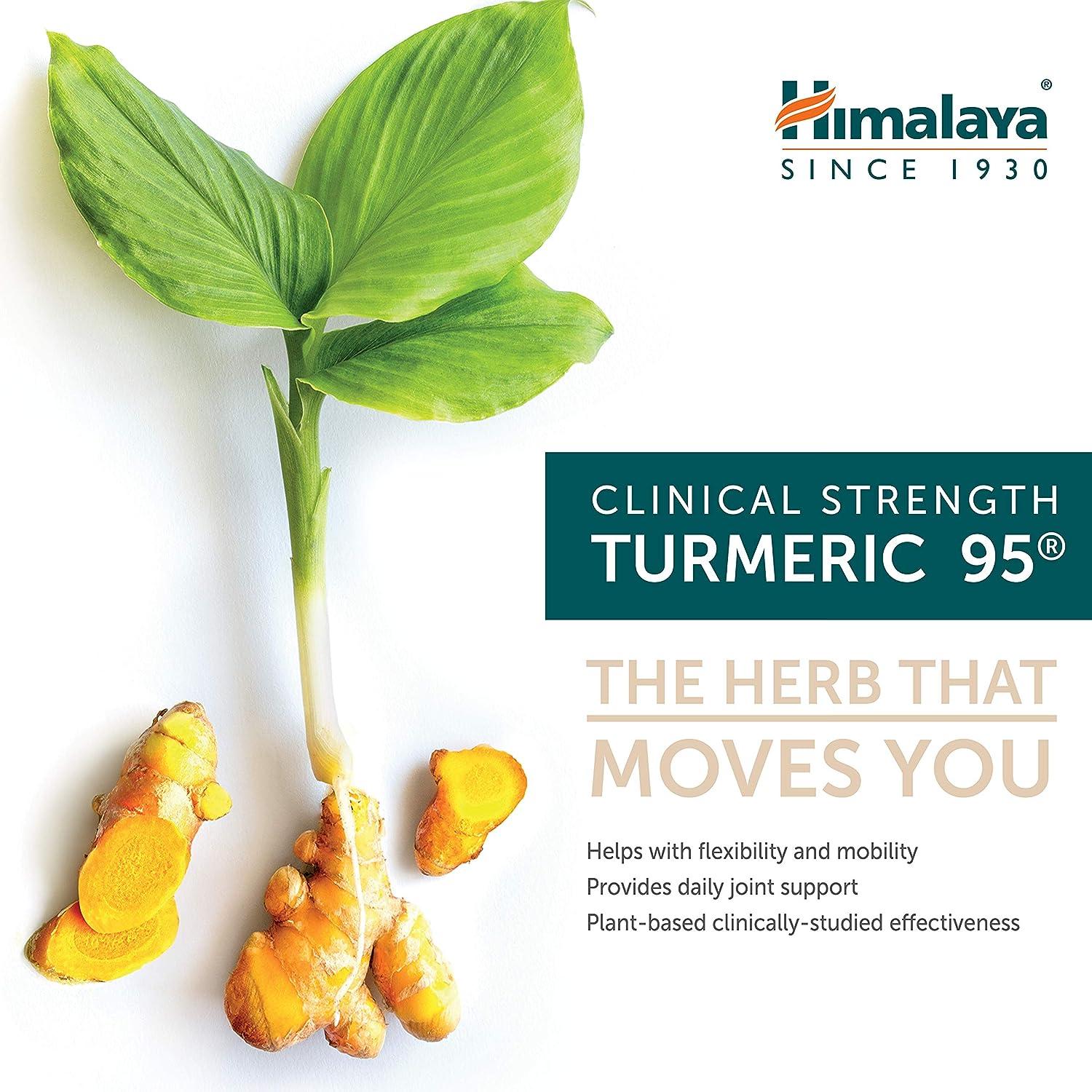 Himalaya Turmeric 95 with Curcumin 600mg - Joint Support & Mobility ...