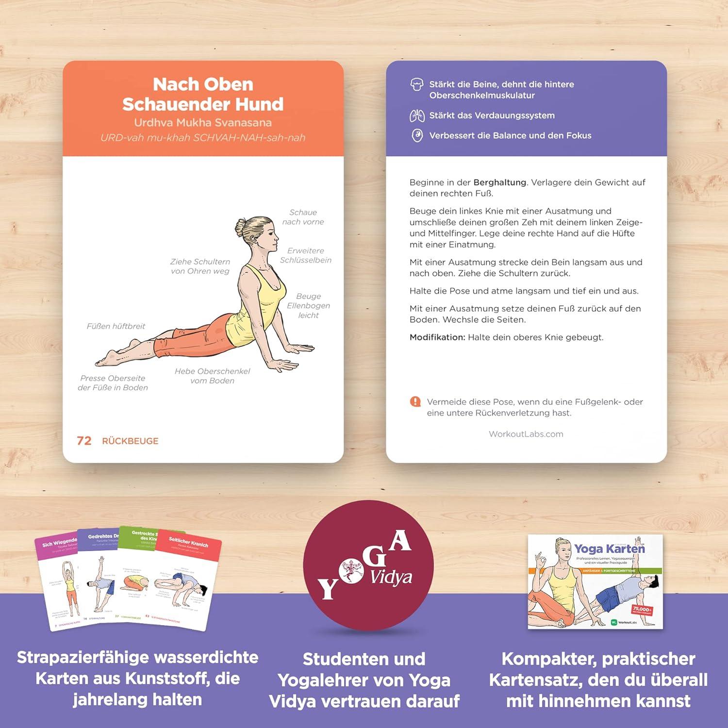 Workoutlabs Yoga Maps I & II Complete Set - Professional Learning Class ...