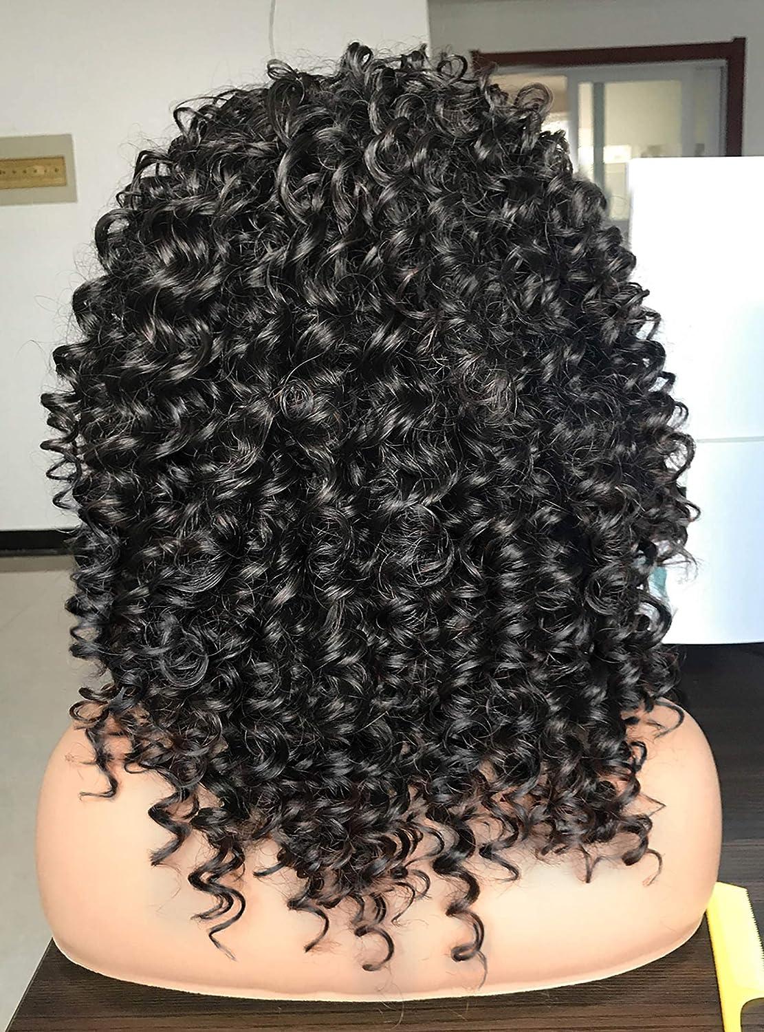 CiCi Short Curly Wig for Black Women - Afro Kinky Curly with Bangs ...