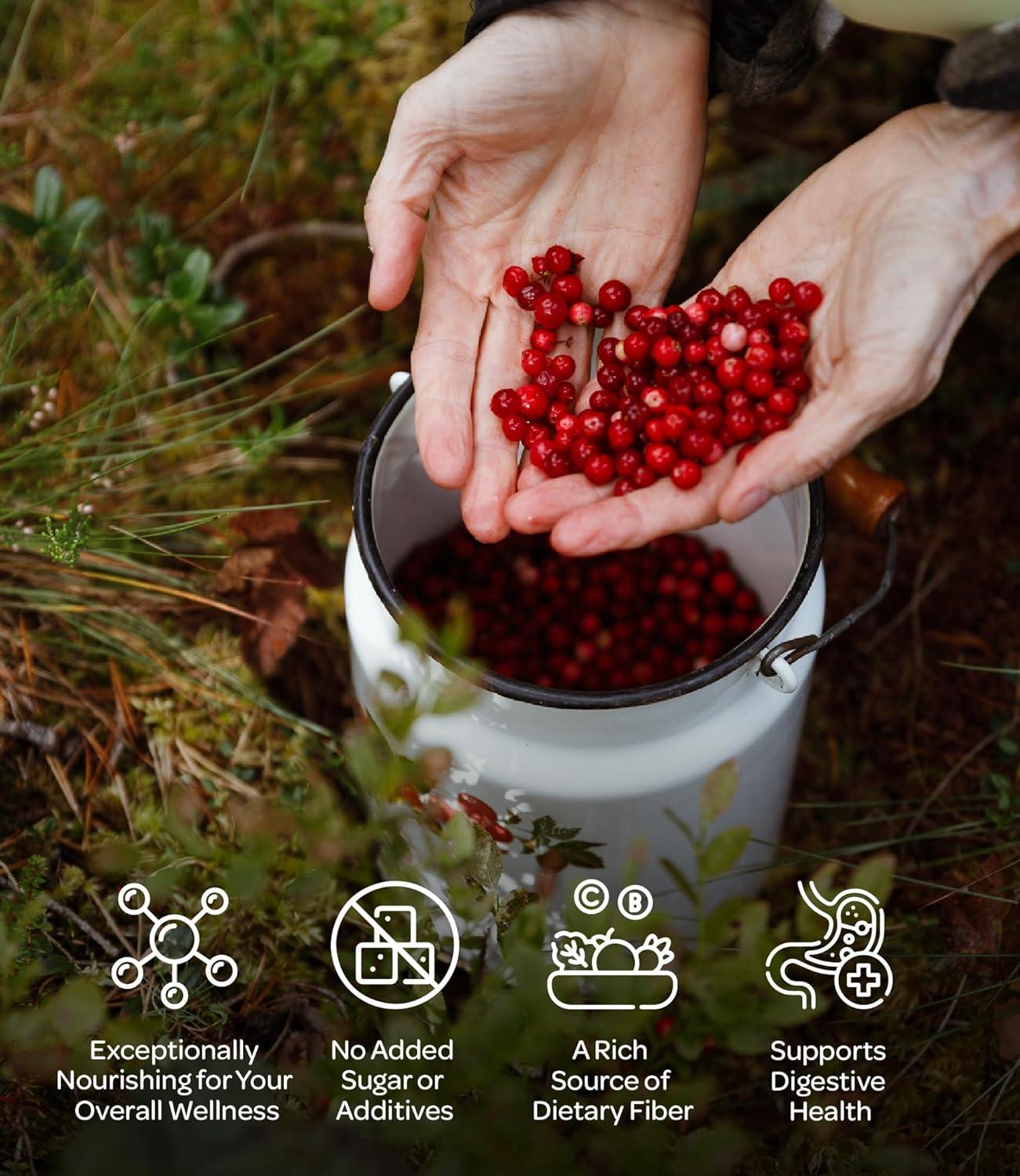 LOOV Organic Wild Cranberry Powder (Pomace Powder) 100 g High in ...