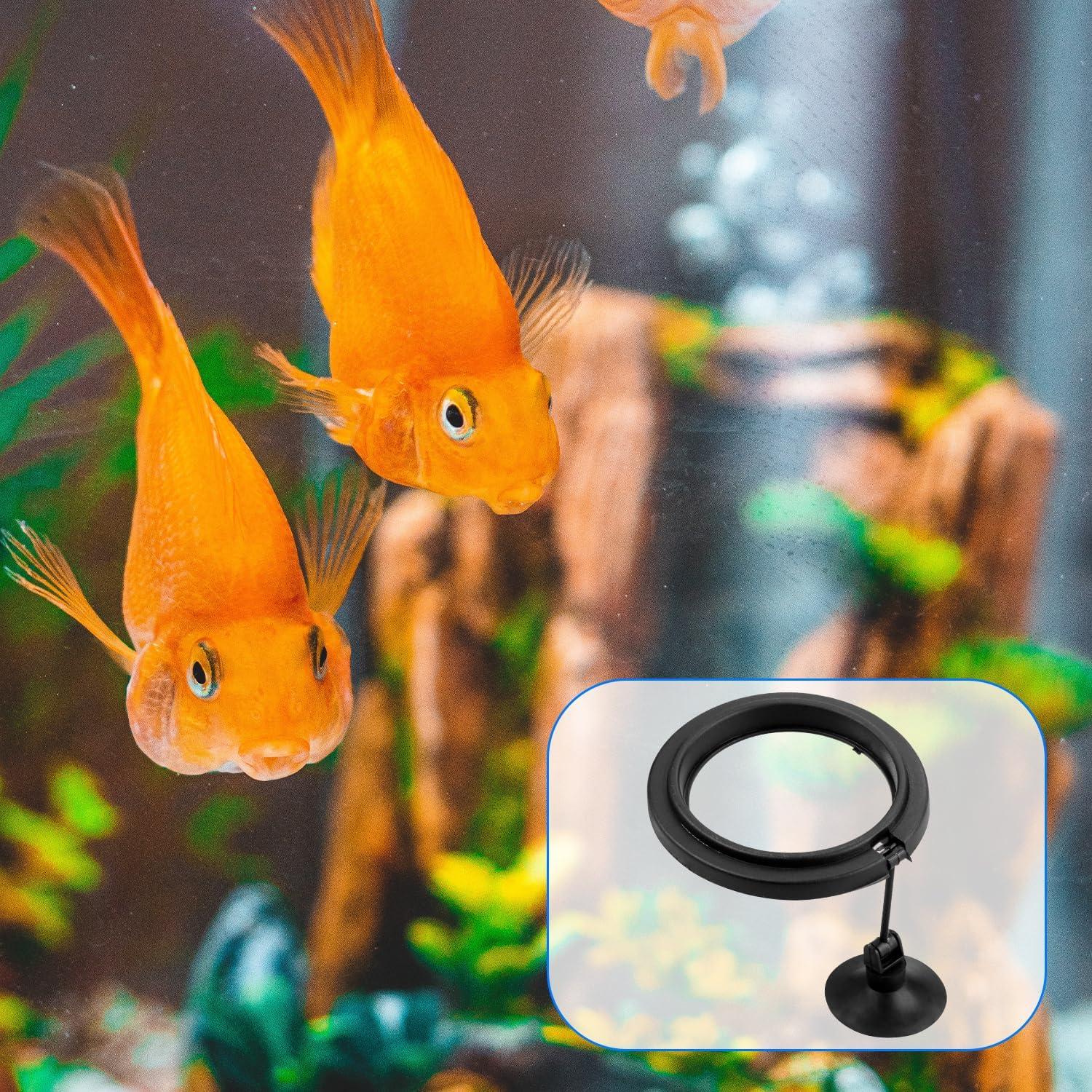 Rumyve Fish Feeding Circle Aquarium Floating Food Circle Fish Feeding ...