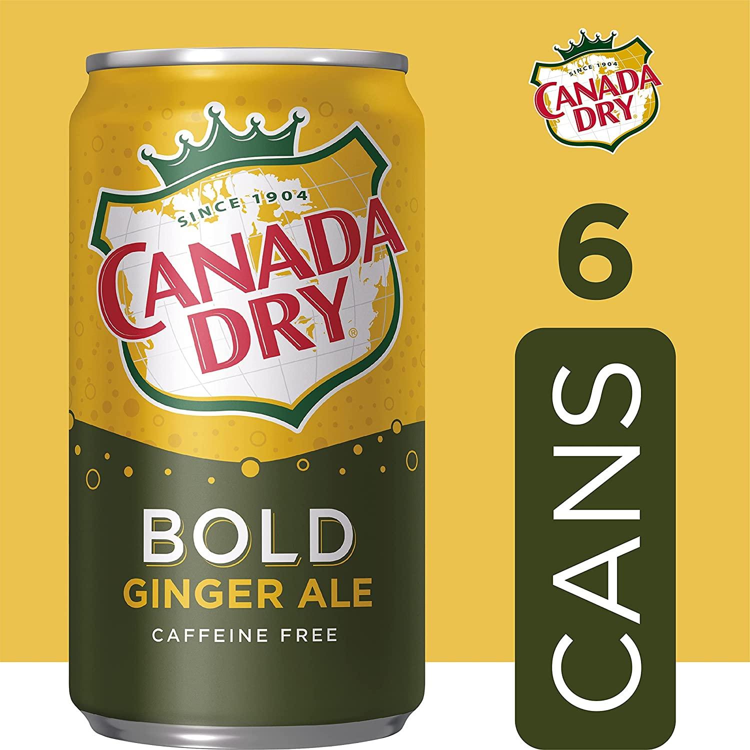 Canada Dry Bold Ginger Ale Mini Cans 7.5 fl oz - 6 Pack | Buy Now with ...