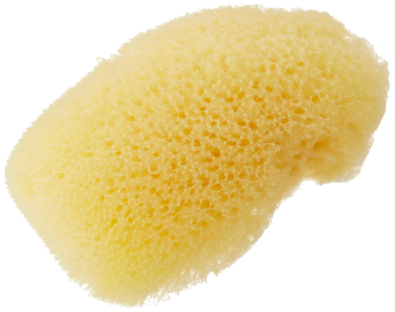 Pro Art Natural Sea Silk Sponge - Premium Quality for Artists | Buy Now ...
