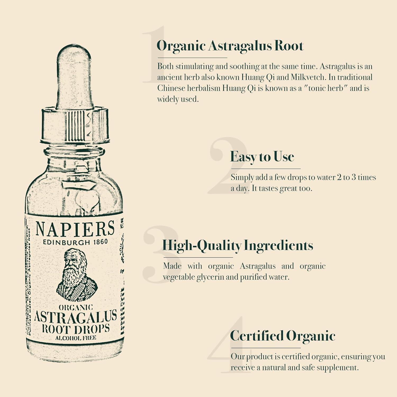 Napiers Organic Astragalus Root Tincture Drops - Alcohol-Free Herbal ...
