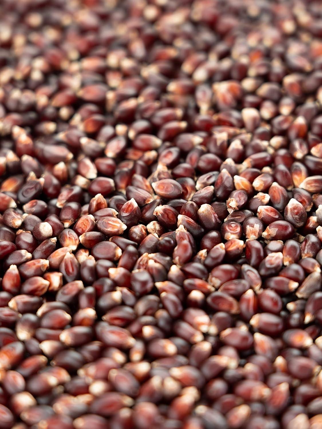 Biojoy Organic Ruby Red Popcorn (1 kg) - Unsweetened Unsalted Cinema ...