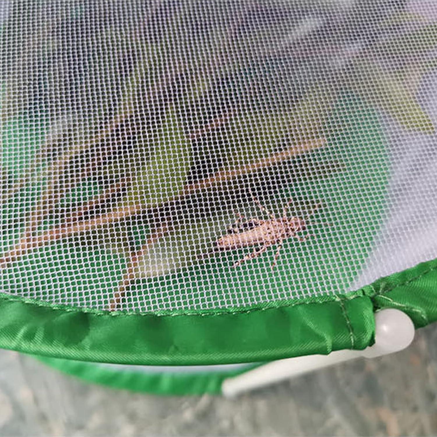 Zerodis Transparent Mesh Insect Cage Double Zipper Opening Insect ...