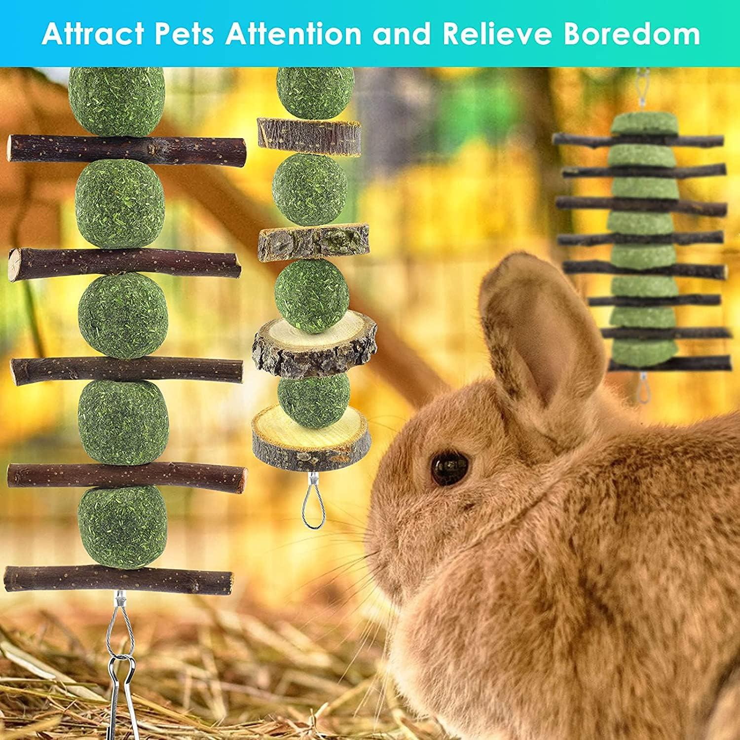 Erkoon Natural Timothy Hay Rabbit & Small Animal Chew Cubes | Dental ...