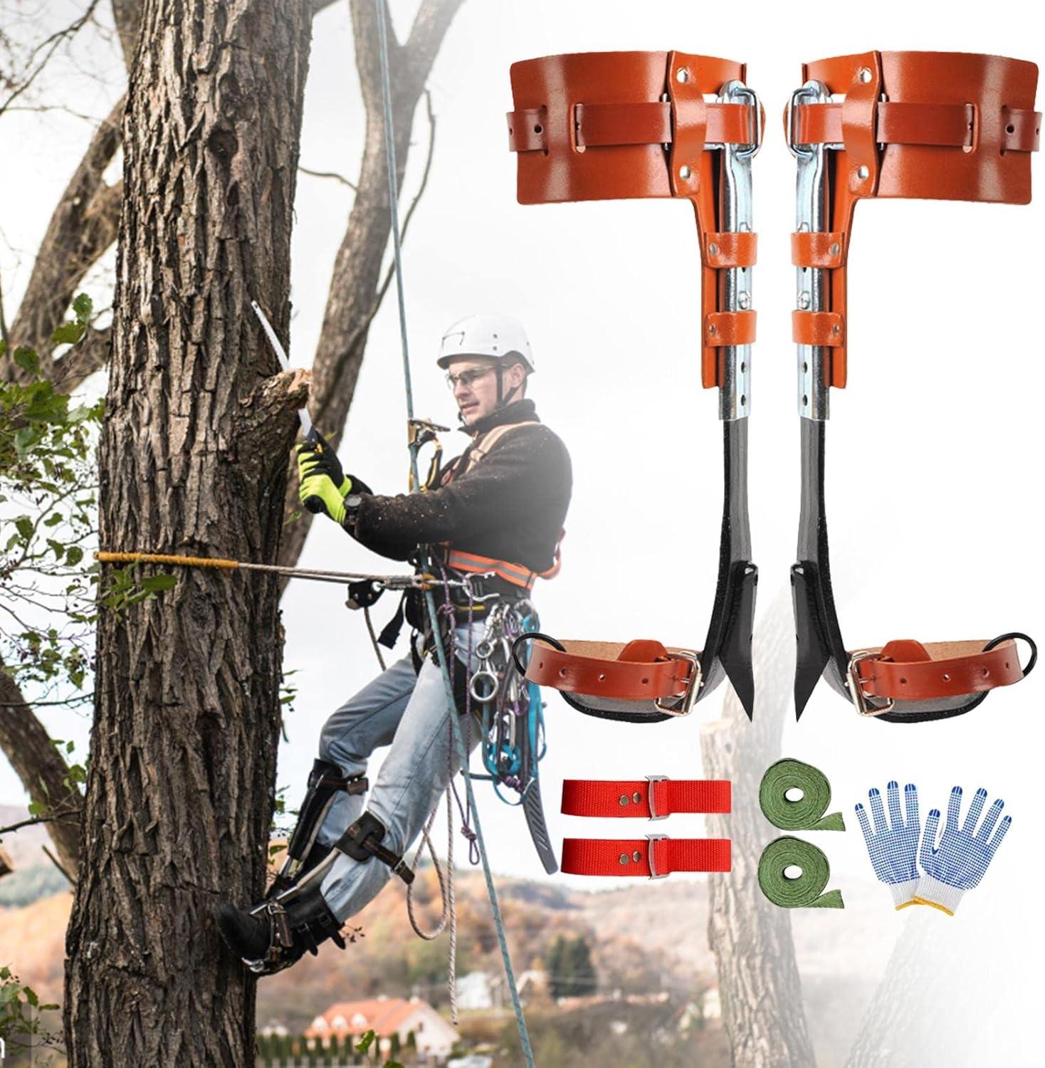 Buy Tree Climbing Equipment Set - Widened & Thickened Crampons ...